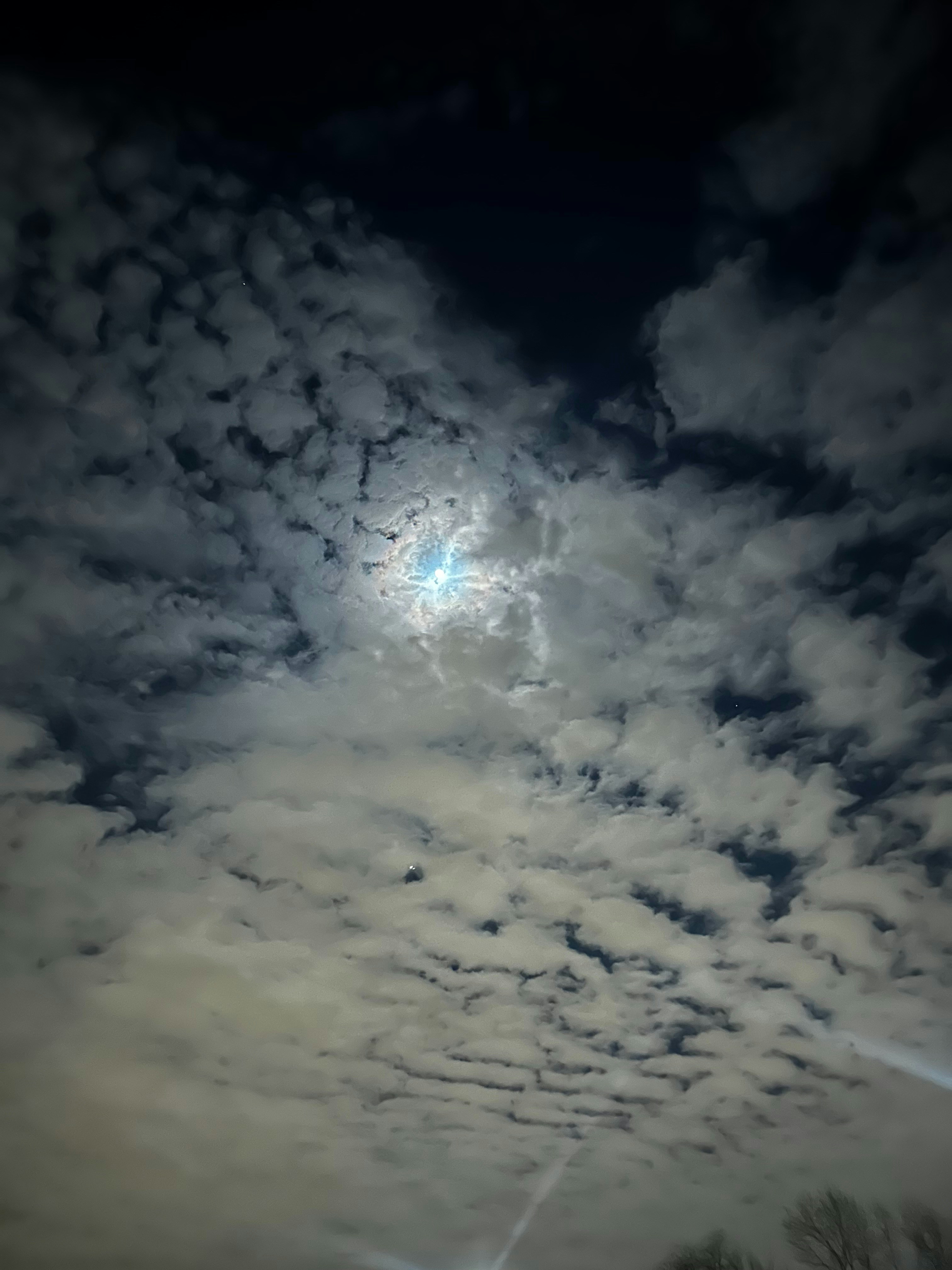 Moon Halo Through a Cloud Veil Over a Quiet Night Sky