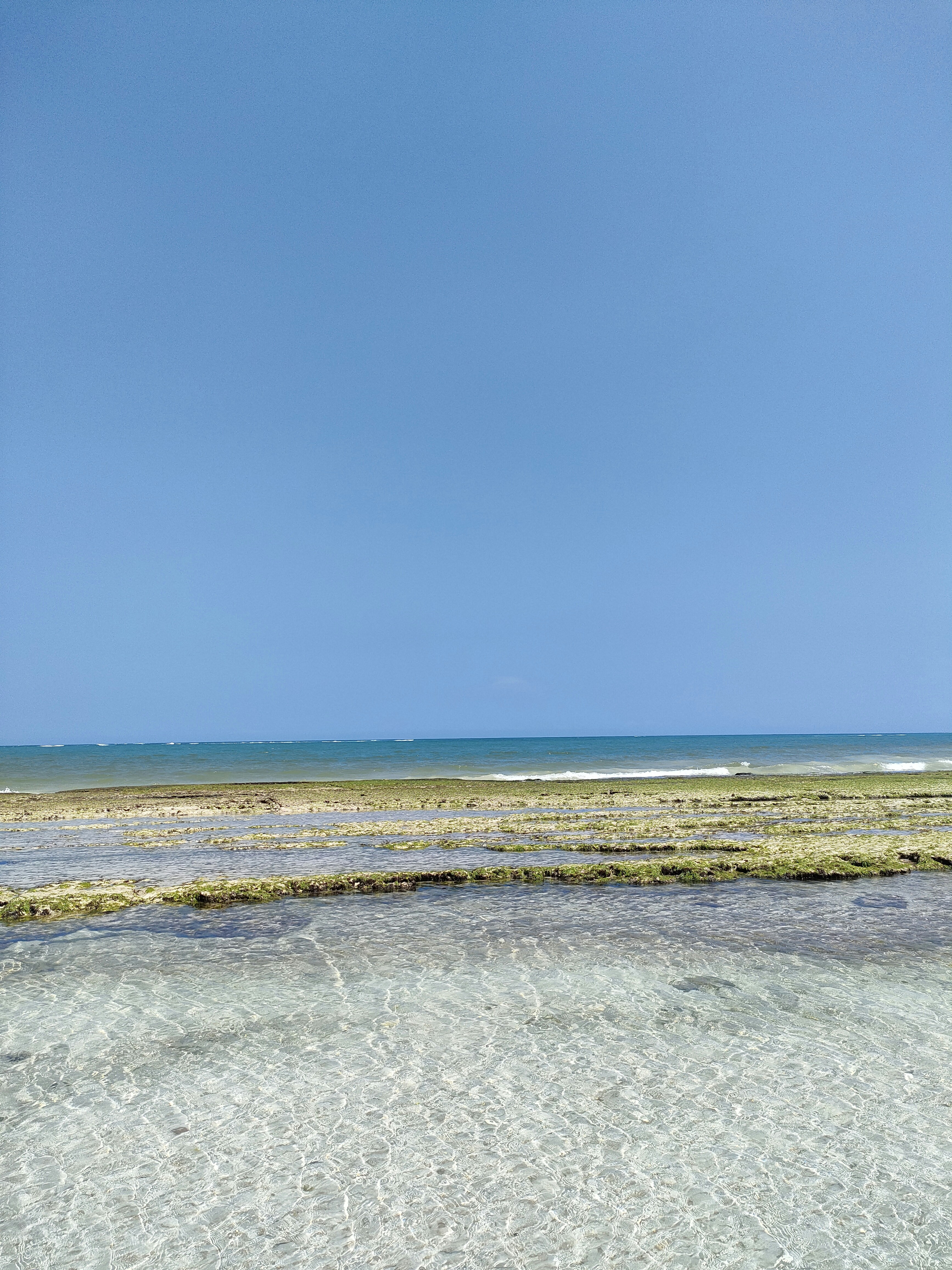 I worked a lot to create this image, please consider sending a small donation to support my work. My PayPal link is in my profile.Thankyou so much💋.