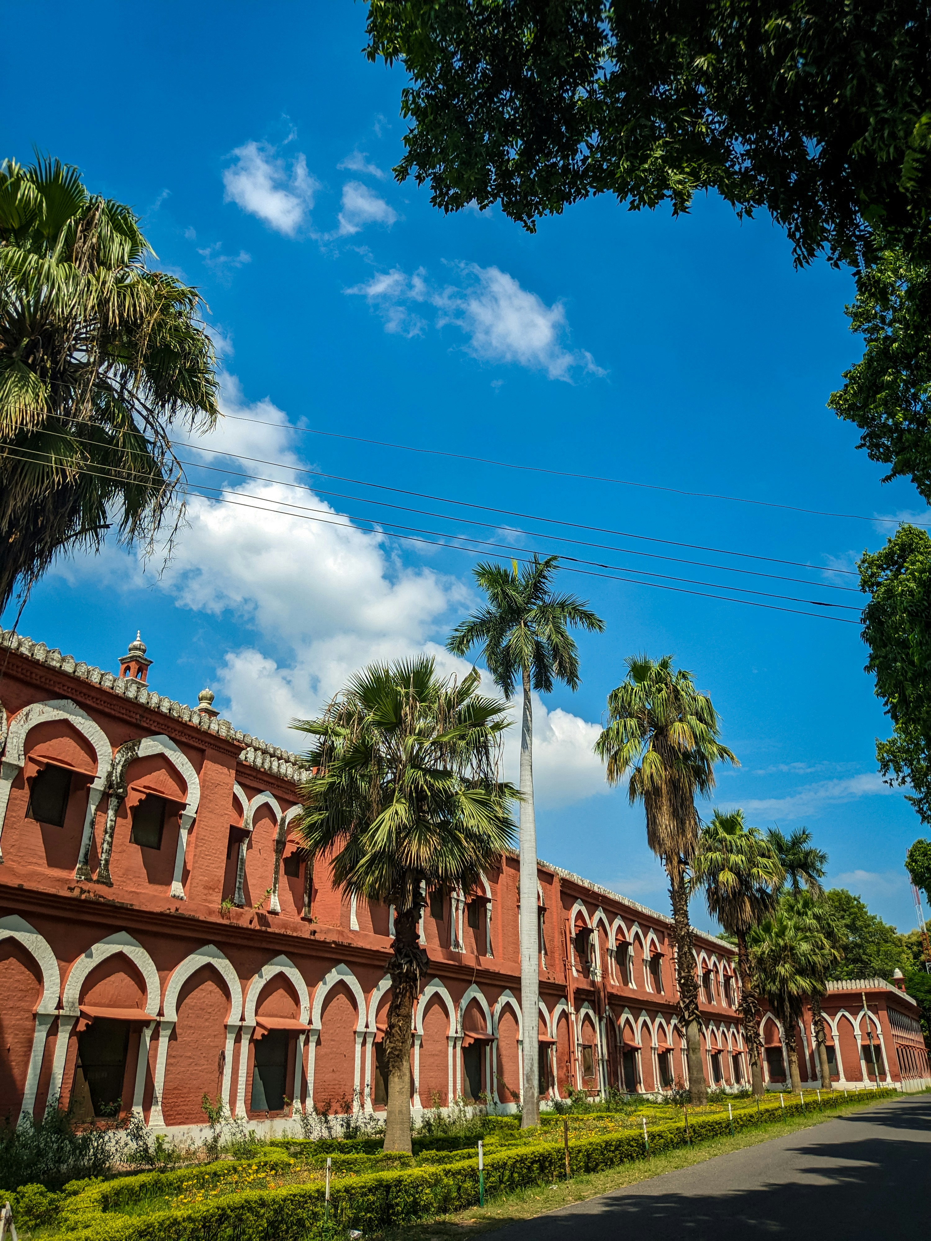 A red brick building surrounded by palm trees photo – Free Sir syed ...