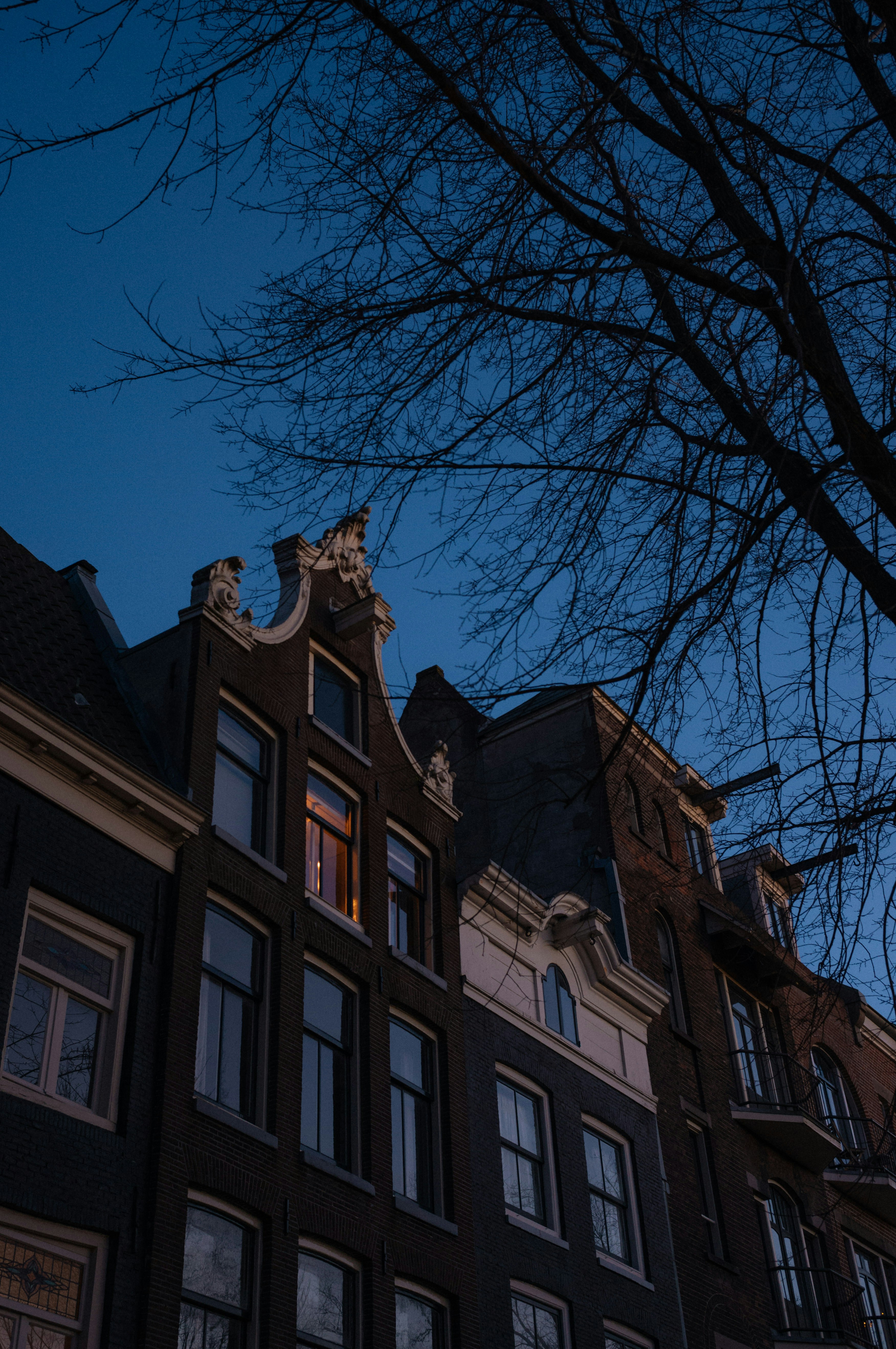 Historic gabled buildings and bare branches silhouetted against a deep blue evening sky.