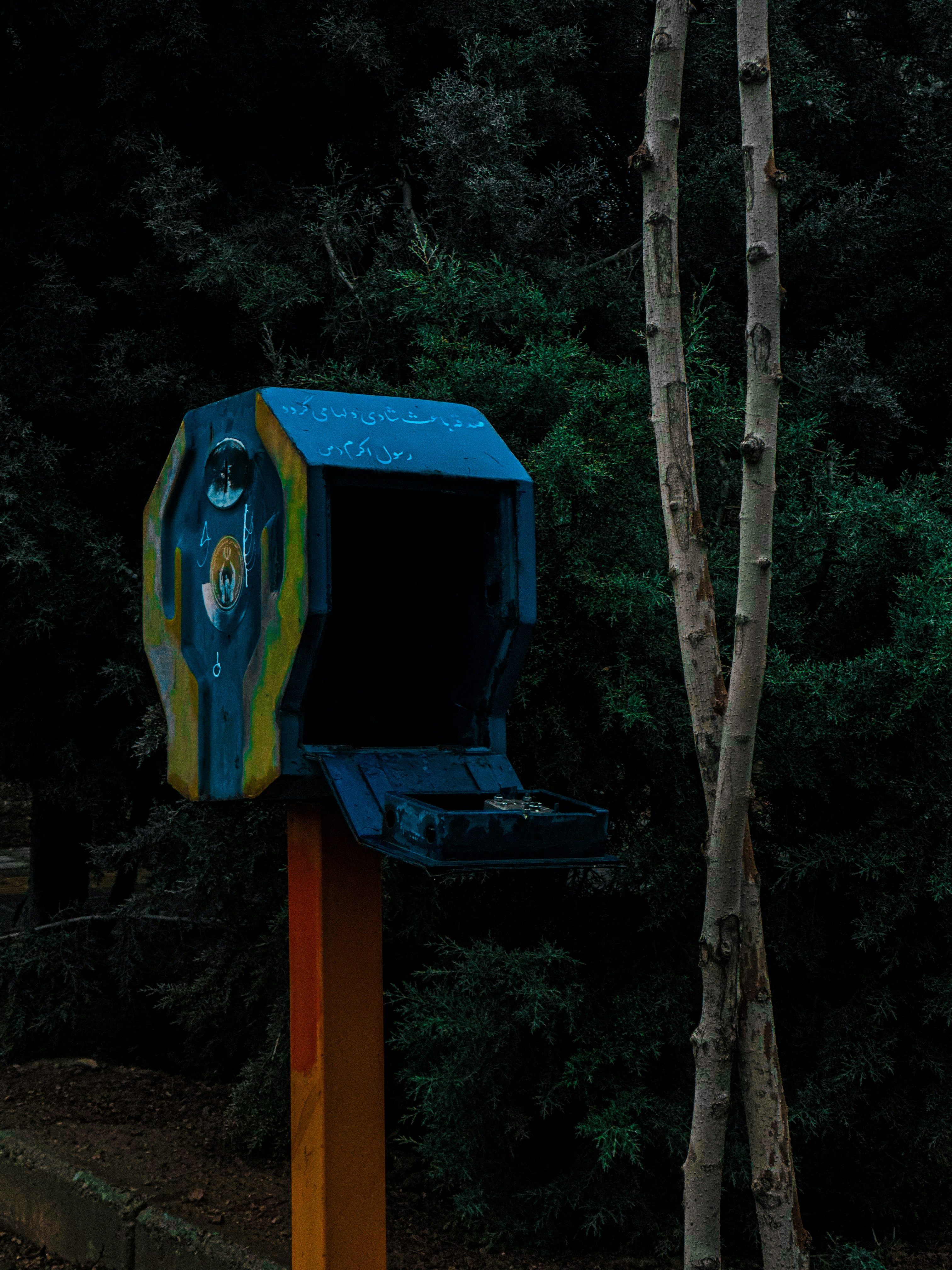 Nocturnal Mailbox Watcher in a Shadowed Forest