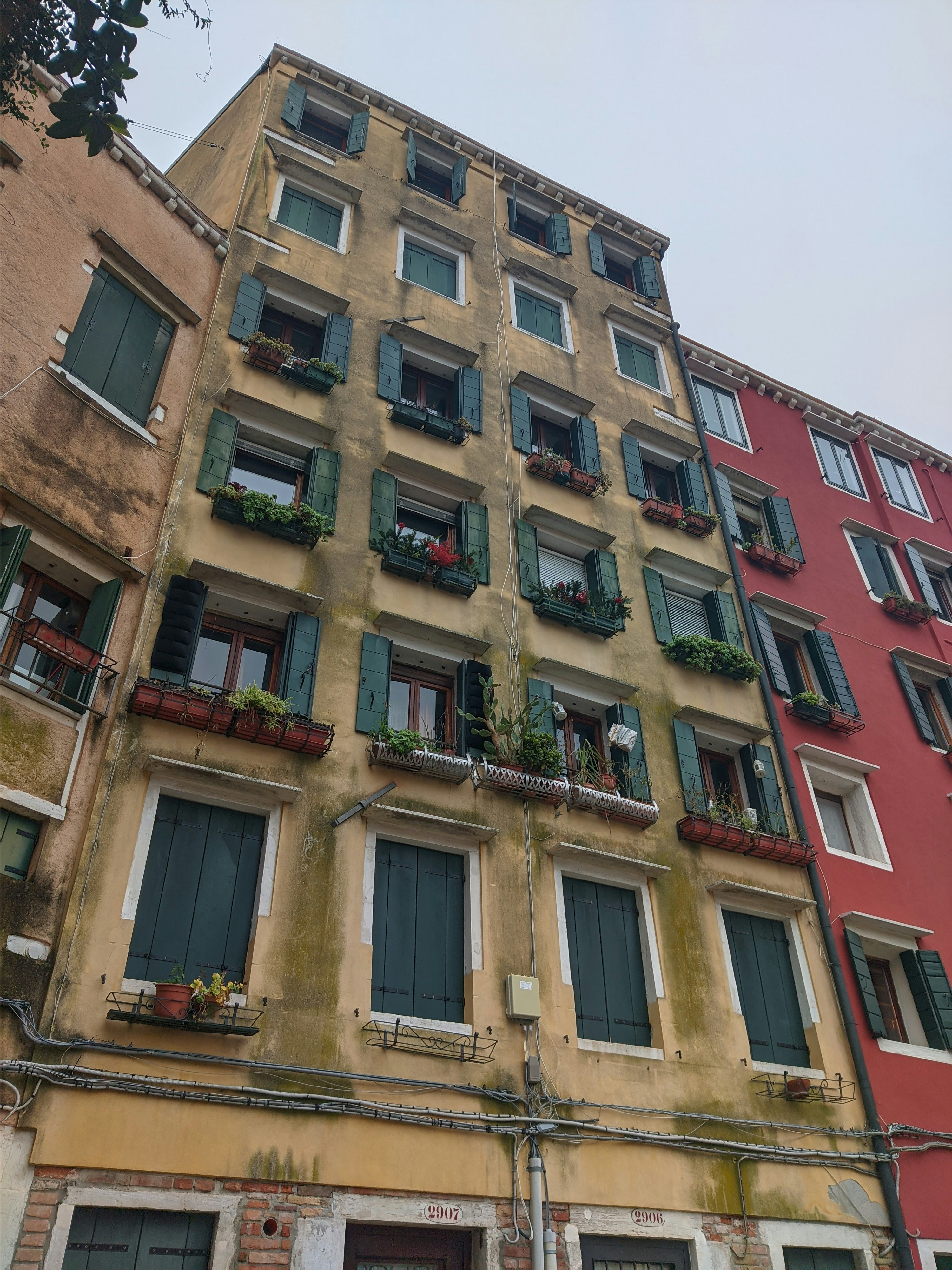 Verdant Window Boxes on a Weathered Yellow Facade