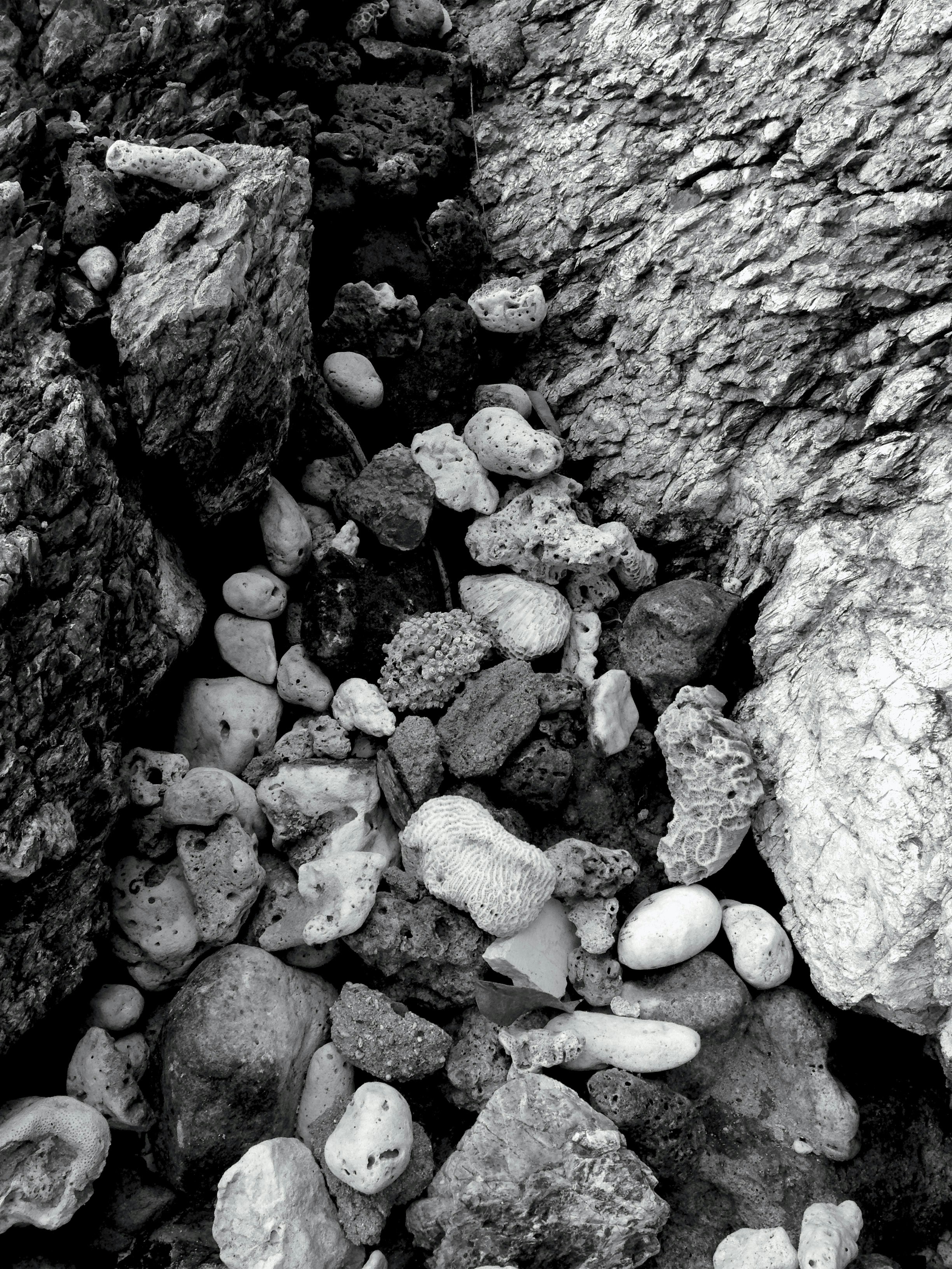 Photo by Jonathan Ramalho with Apple iPhone 5