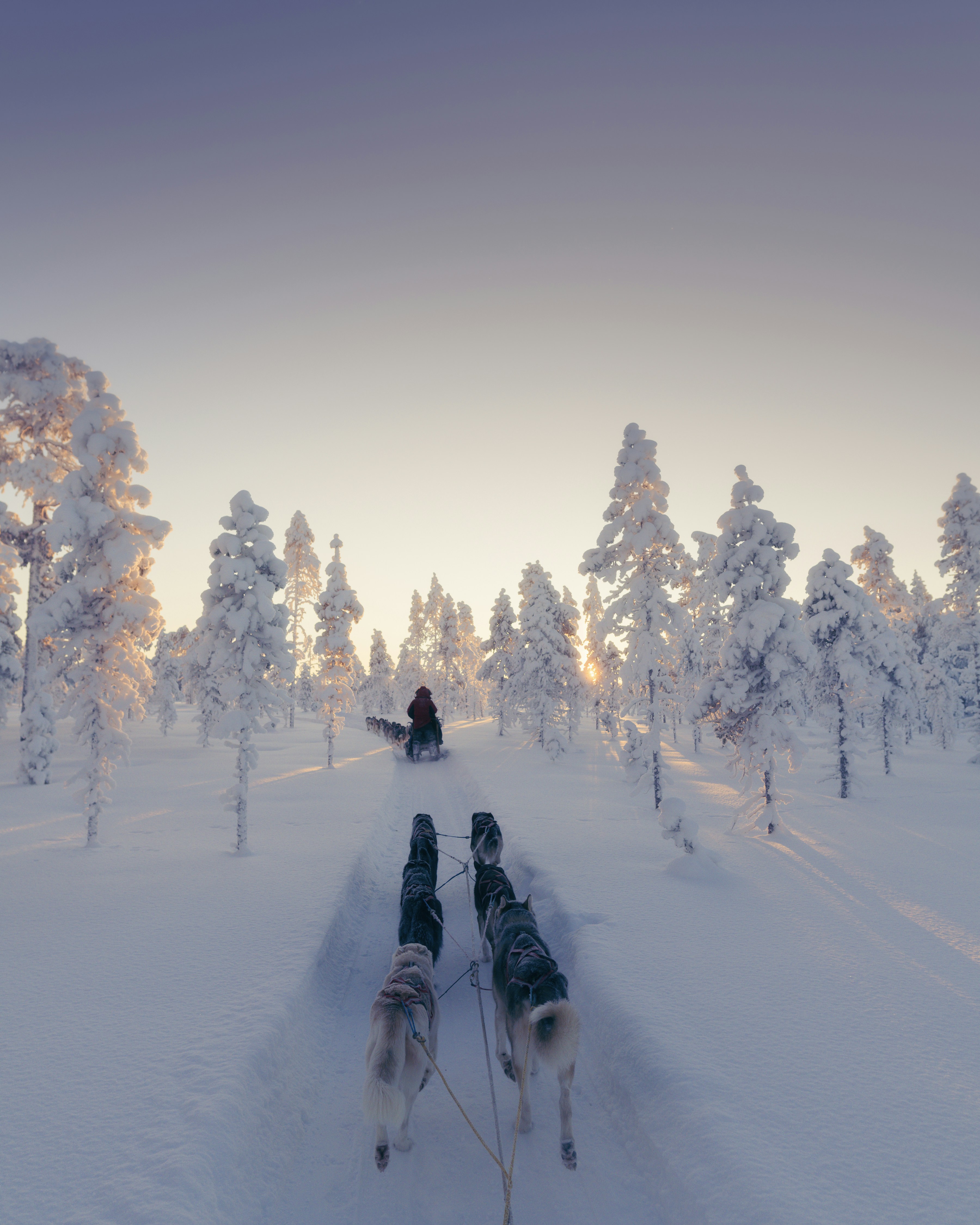A person riding a sled down a snow covered slope photo – Free ...