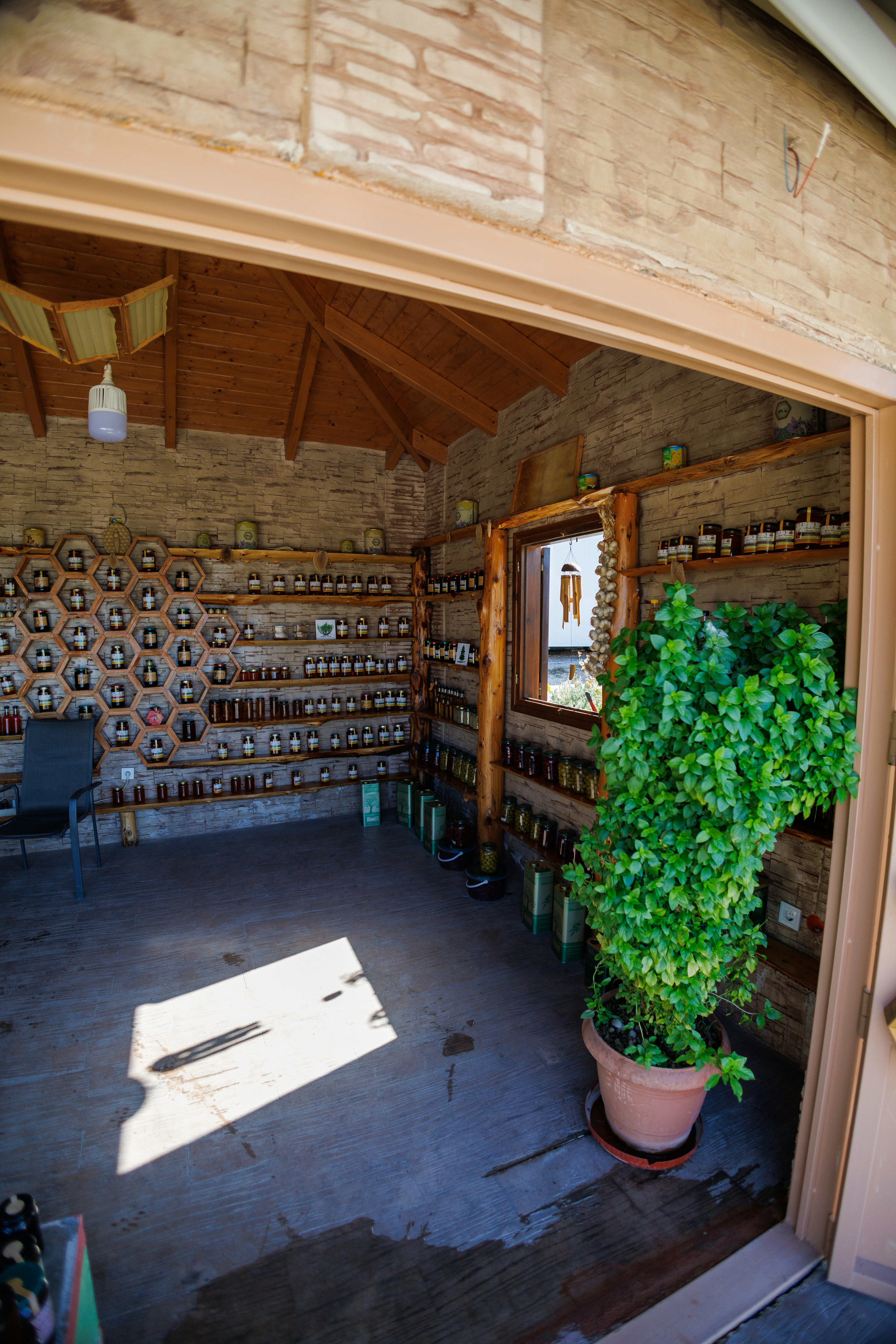 Hexagonal Jar Shelves and Ivy in a Sunlit Rustic Shop