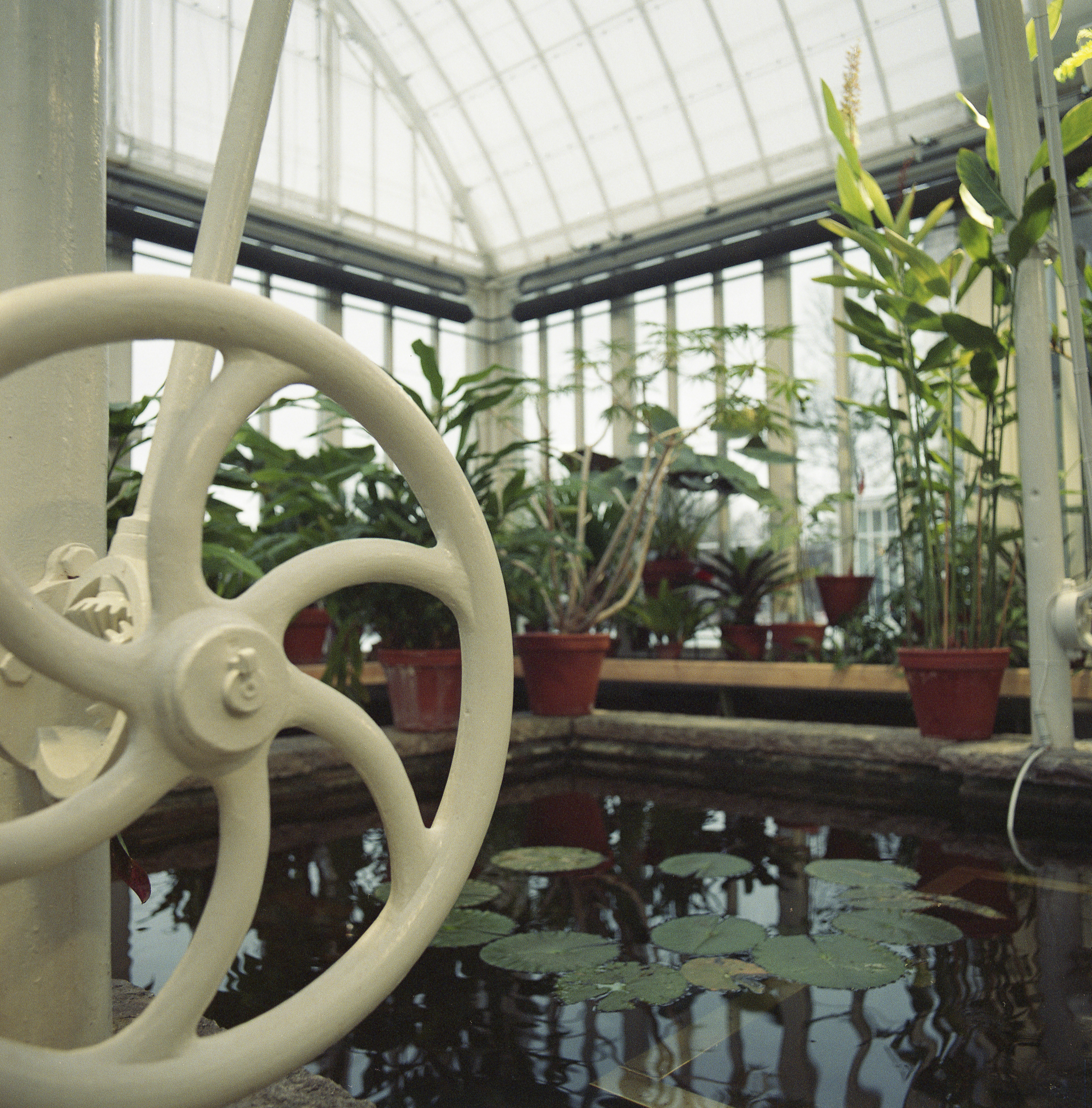 A pond inside of a greenhouse filled with lots of plants photo – Free ...