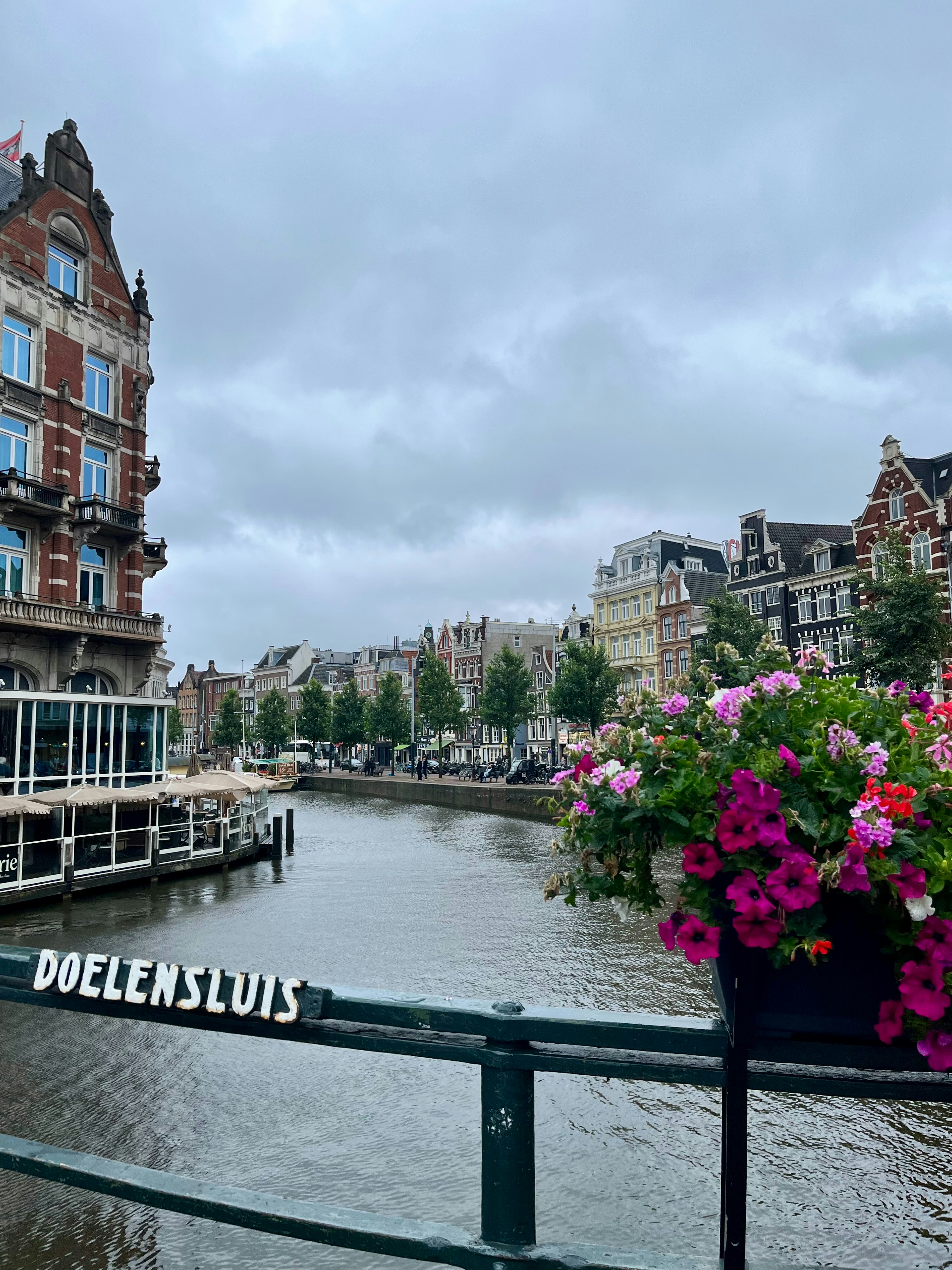 Petals by the Canal: A Dutch Riverside Portrait