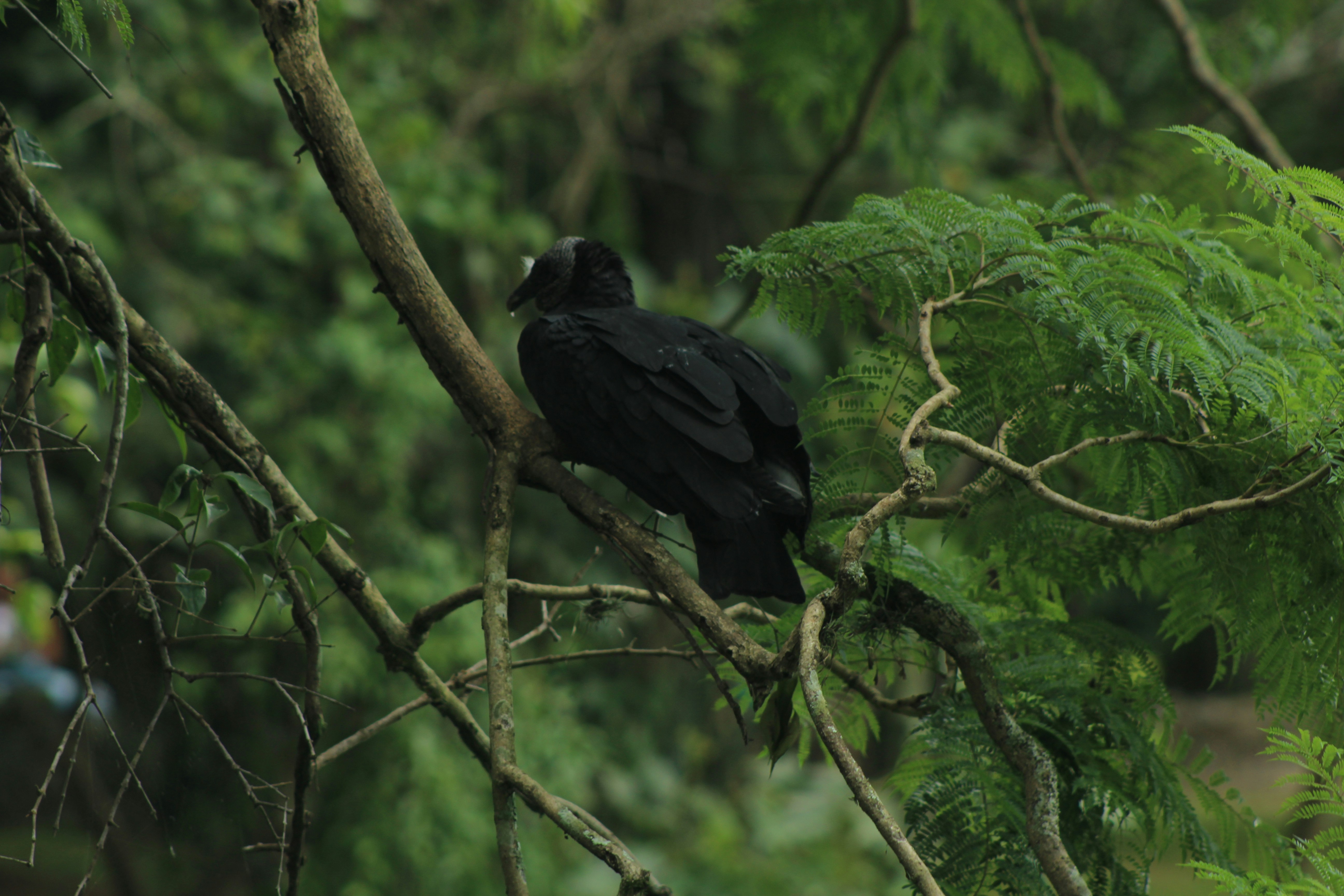 Photo by Mahboba Rezayi with Canon EOS 1200D