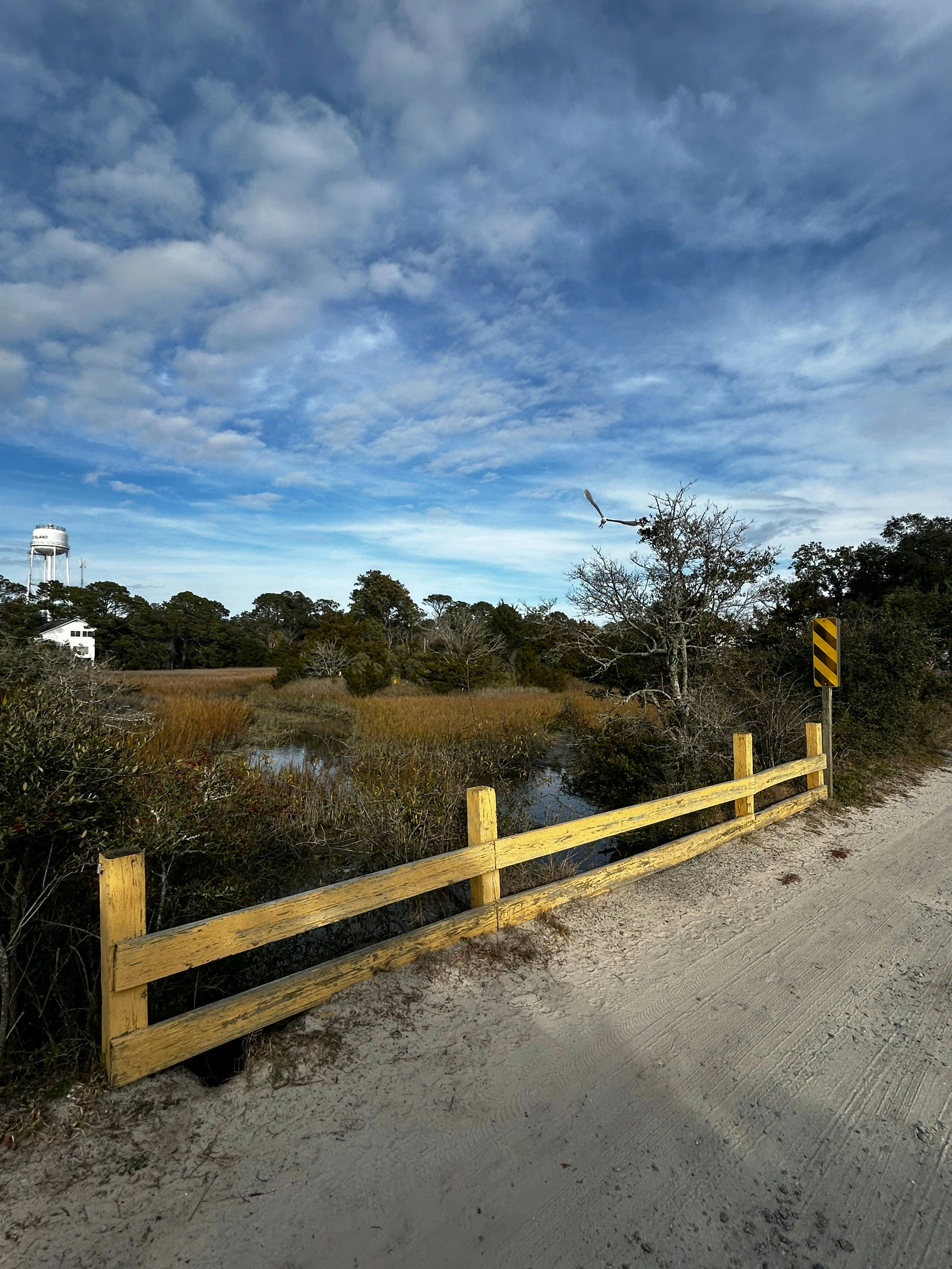 Fence-Line Horizon: Marsh, Sky, and a Distant Water Tower