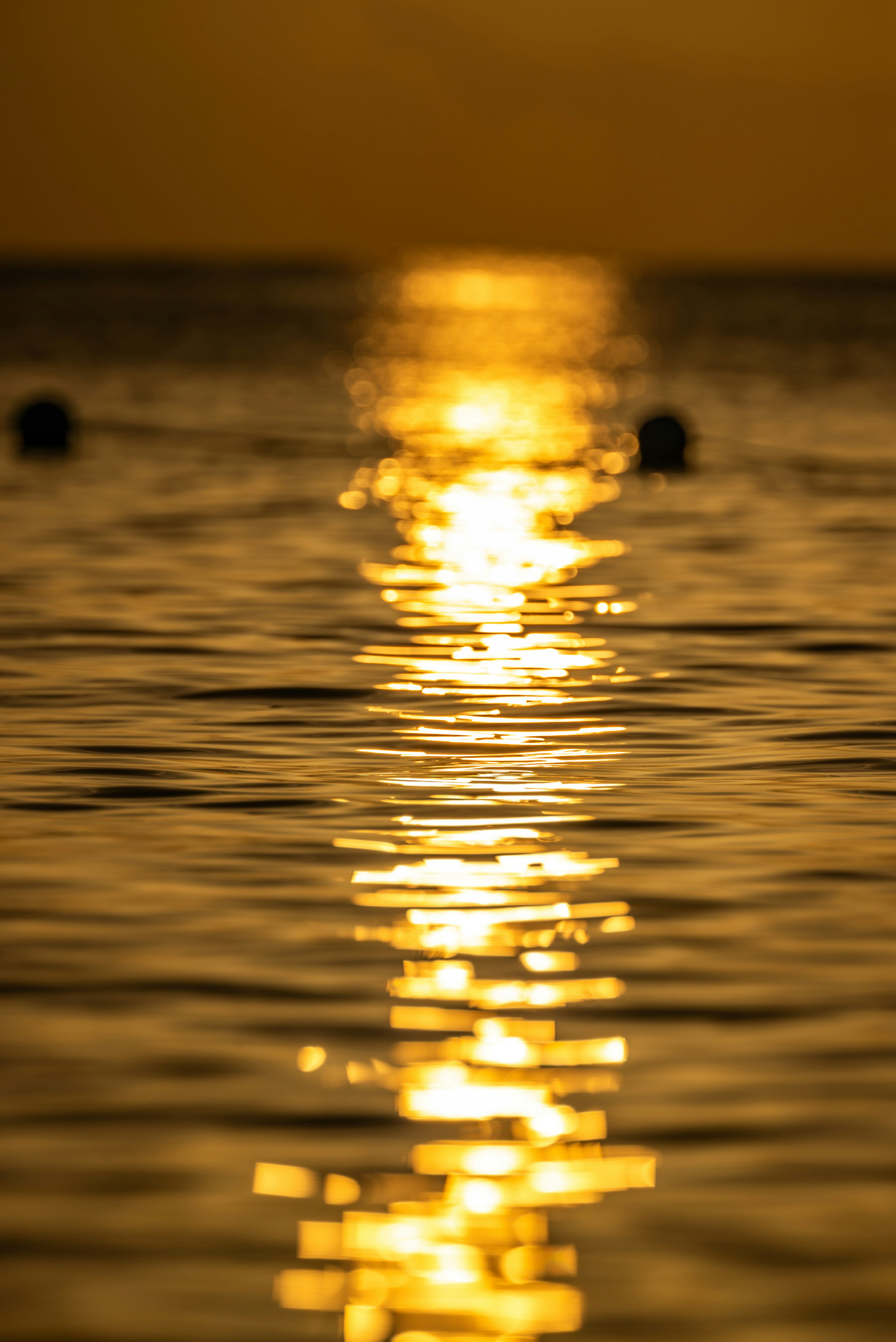 A body of water with the sun reflecting off of the water photo – Free ...