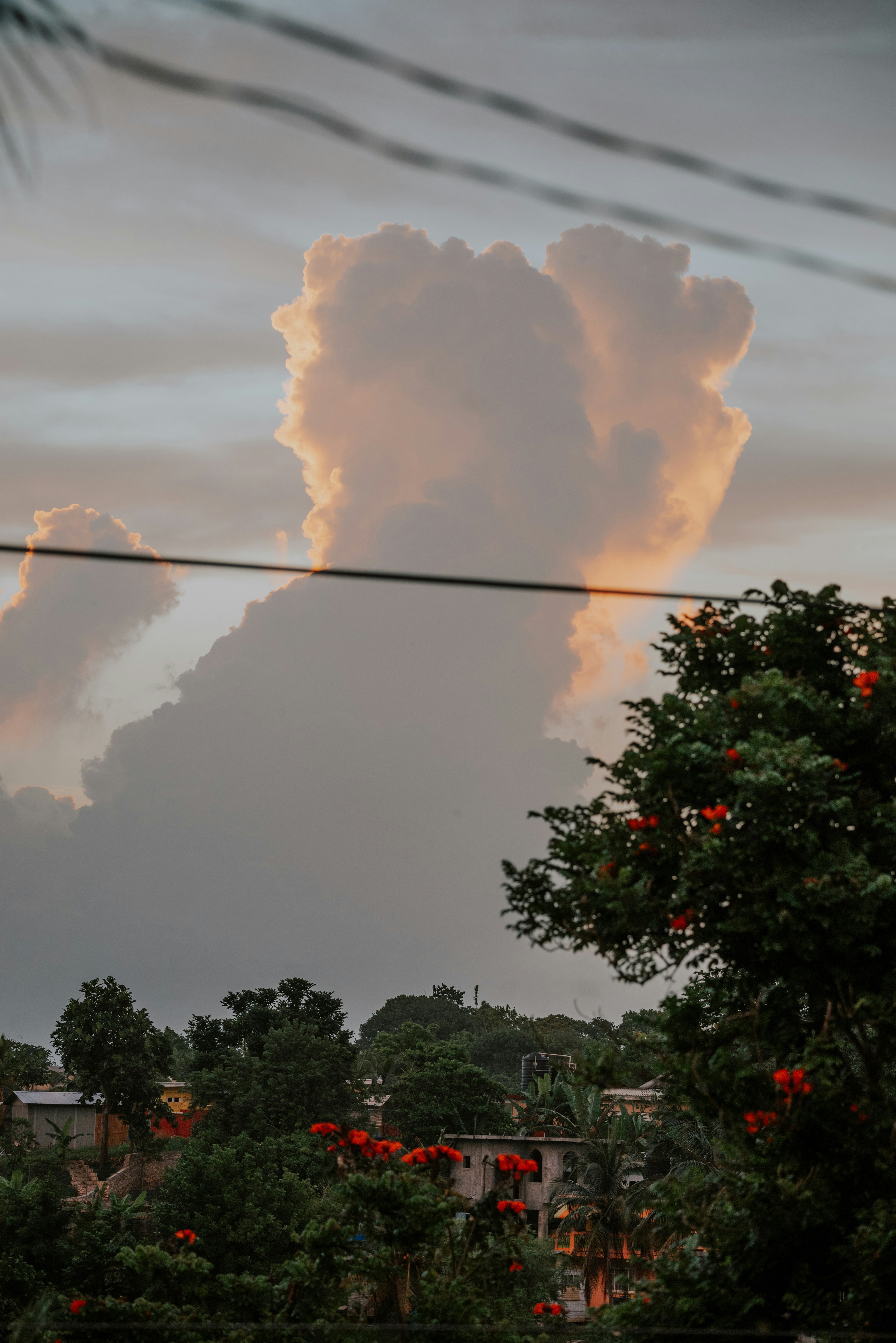 Sunlit Cumulus Tower Over a Red-Flowered Suburban Canopy at Dusk