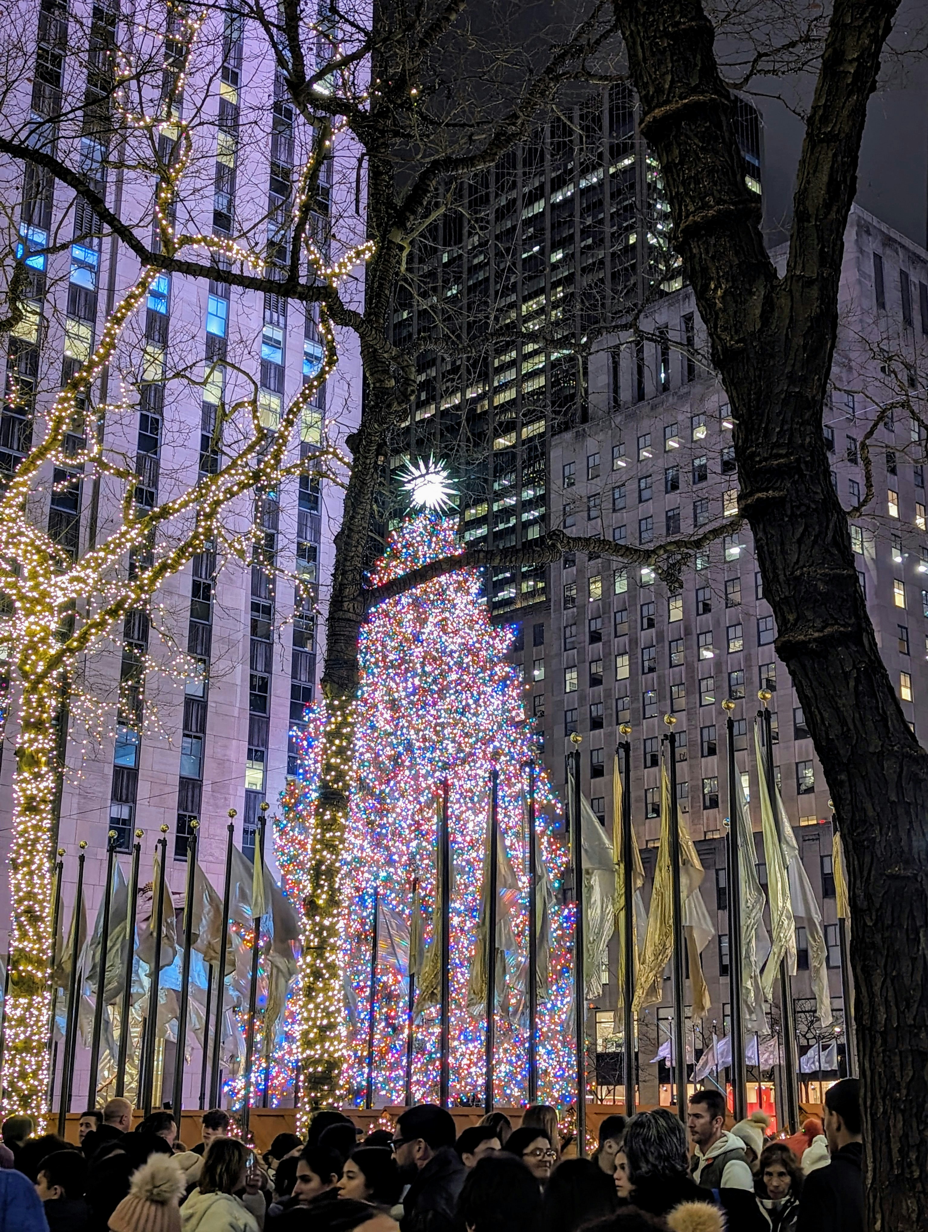 Night Glow: a festive tree framed by city lights and gathering crowd