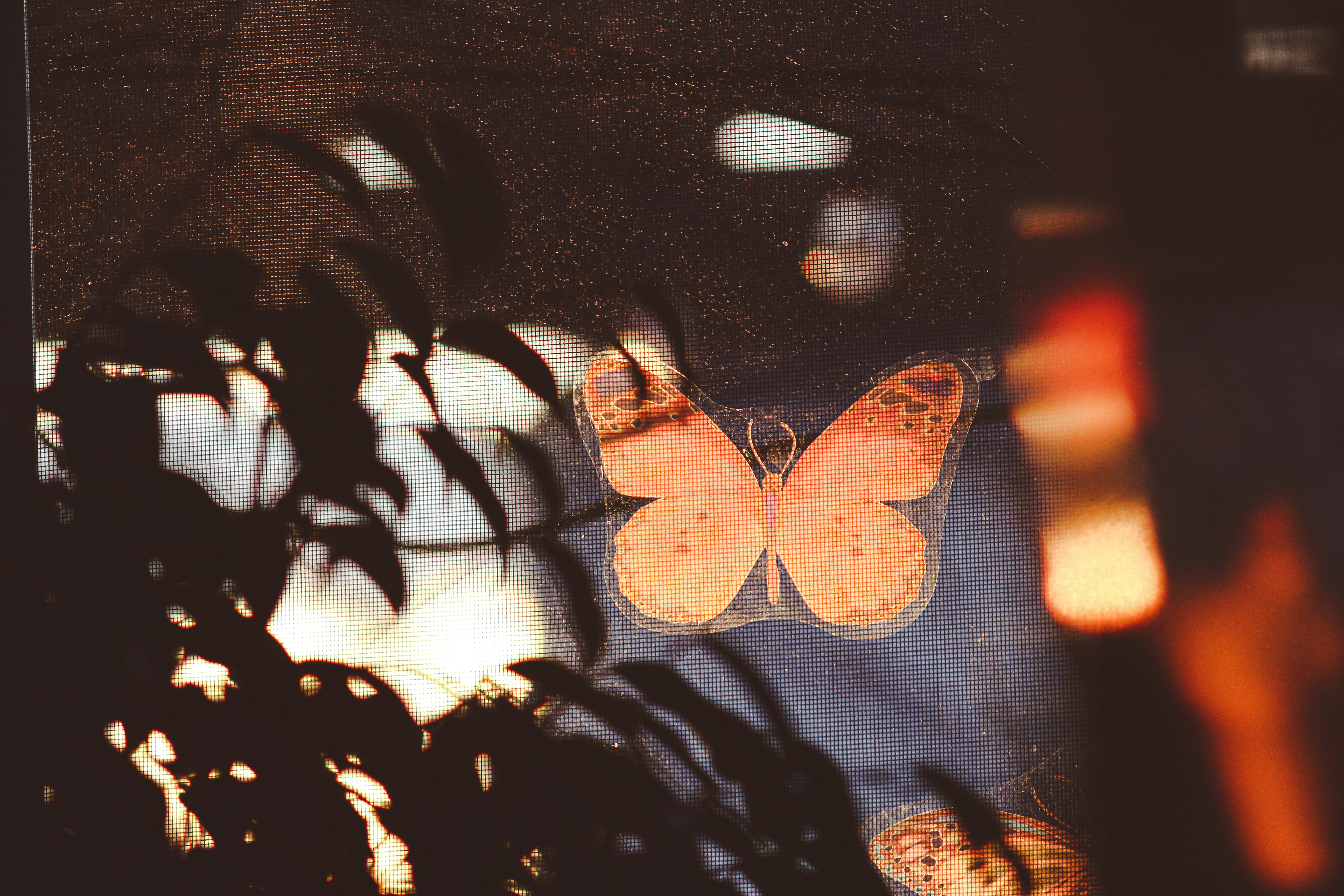 Photo by Sigmund with Canon EOS 100D