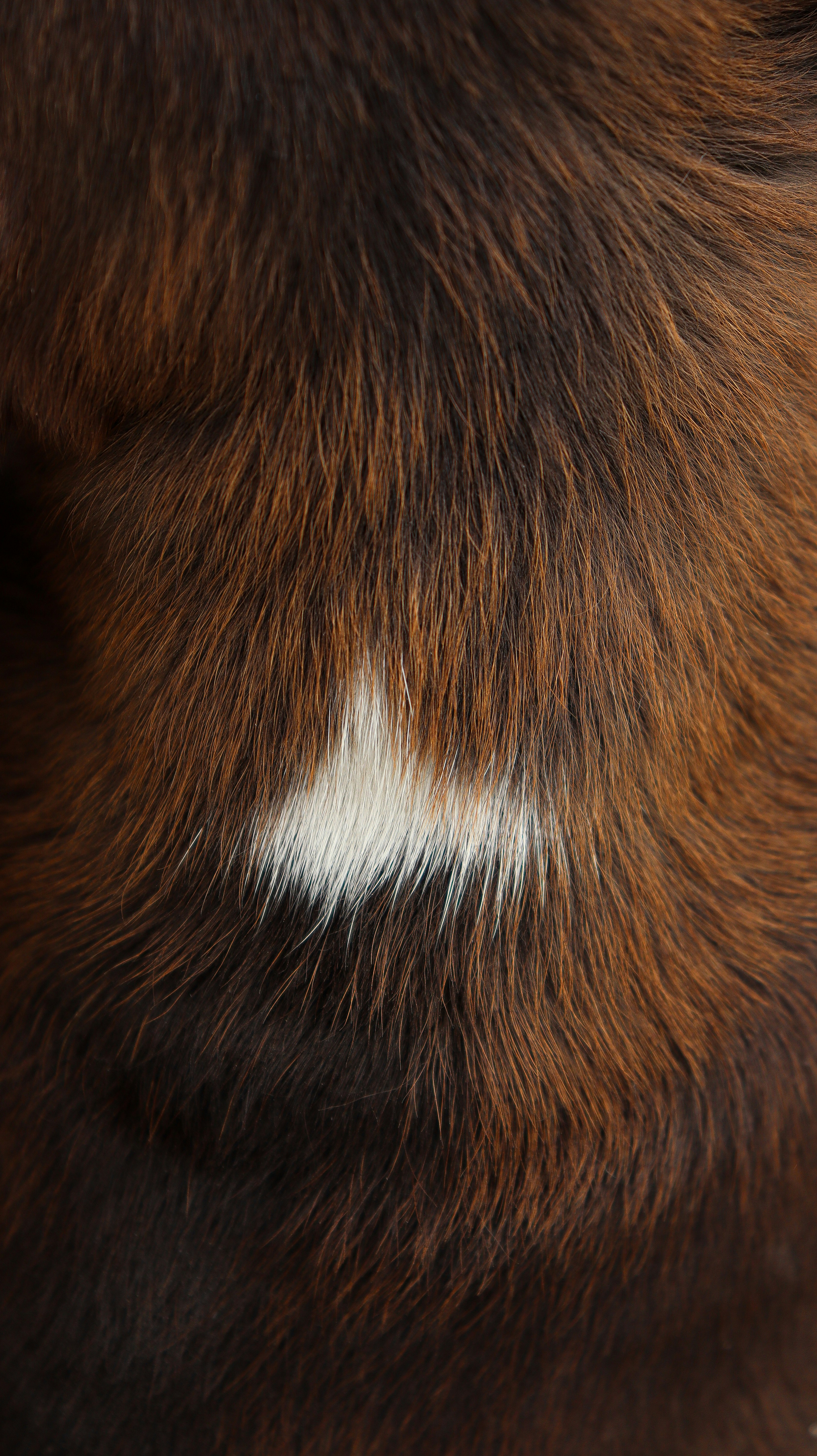 Photo by Lissette Morales with Canon EOS 250D