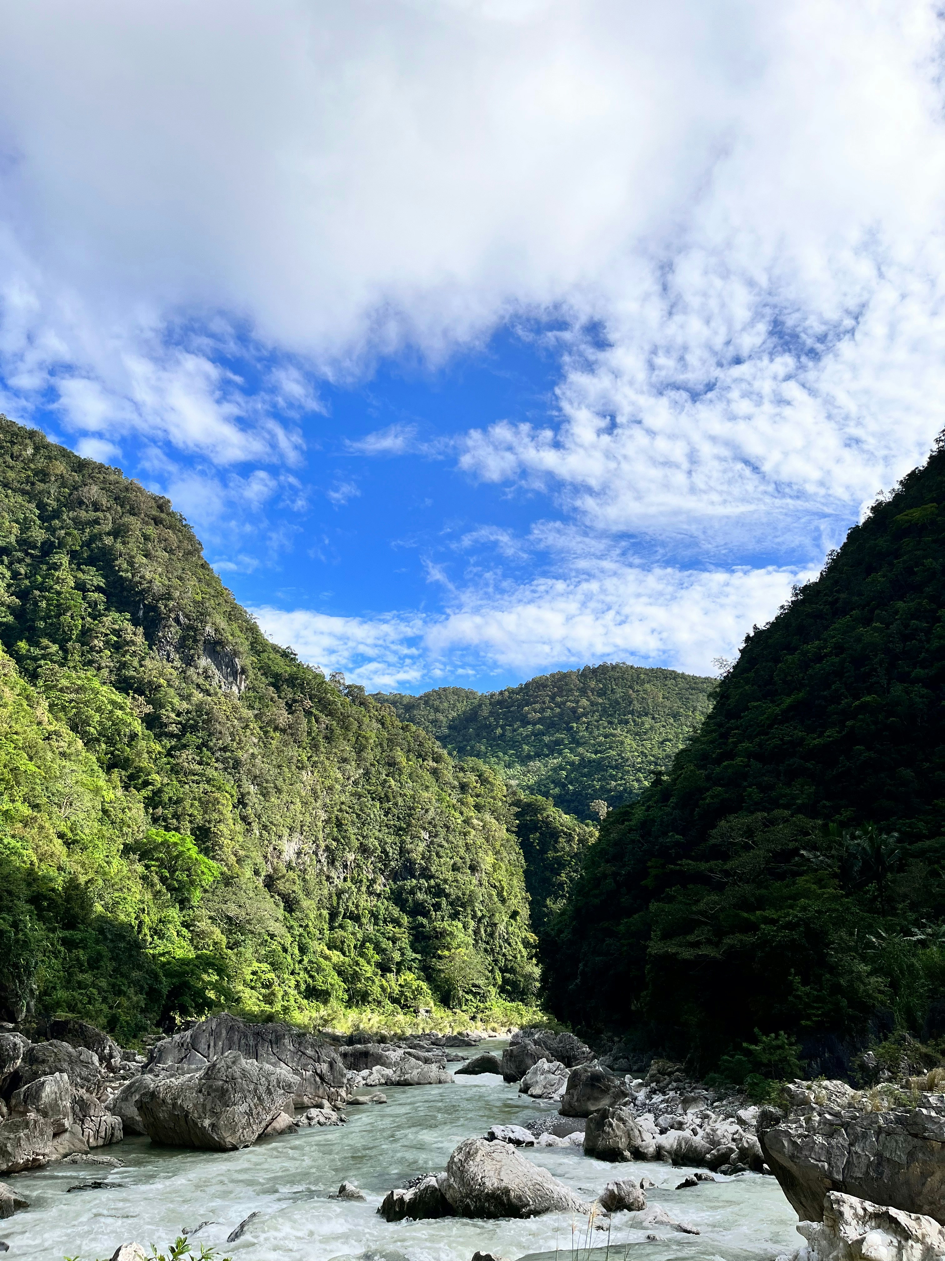 River Wends Through a Verdant Gorge Beneath a Clear Sky