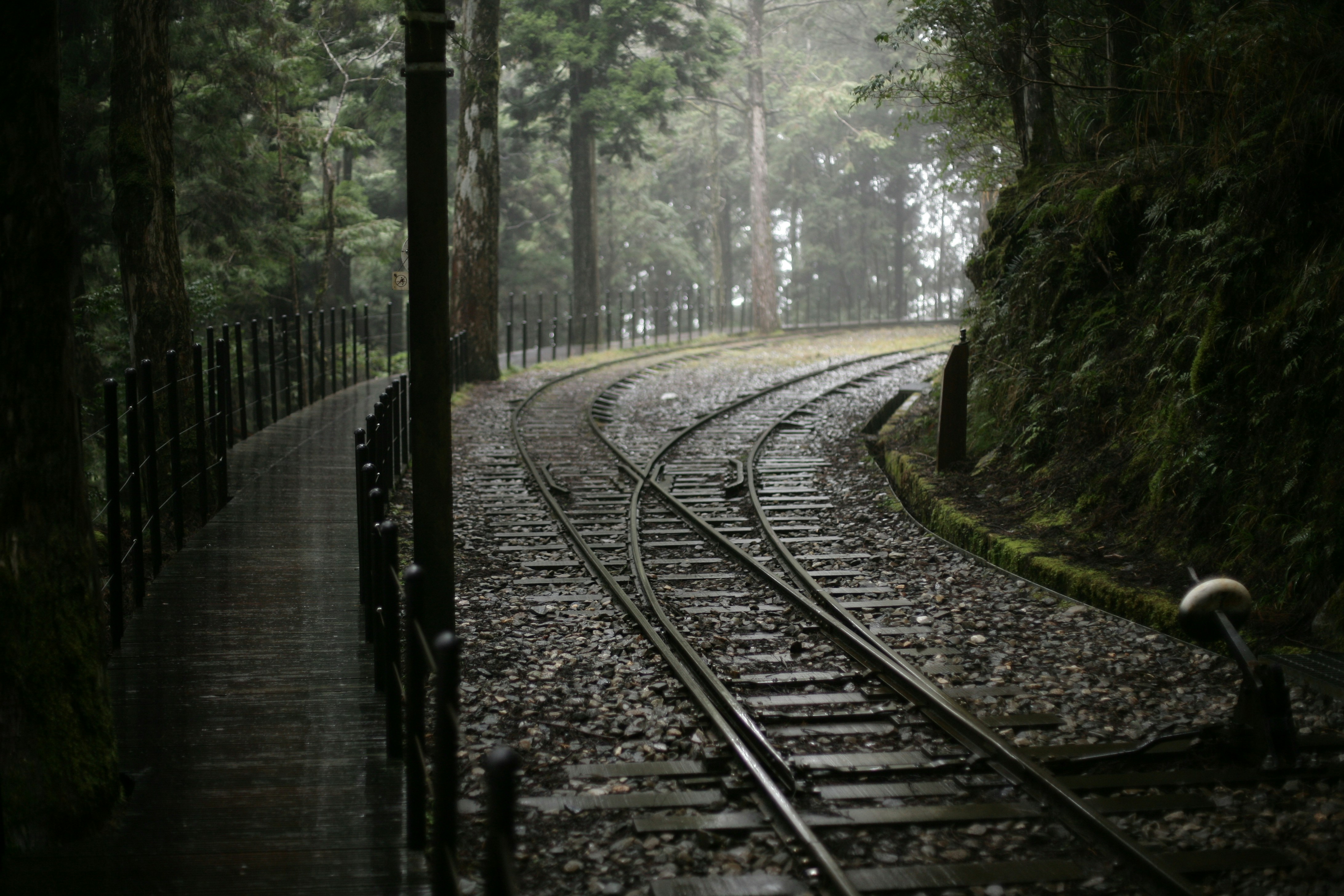 Photo by MChe Lee with CANON EOS 5D