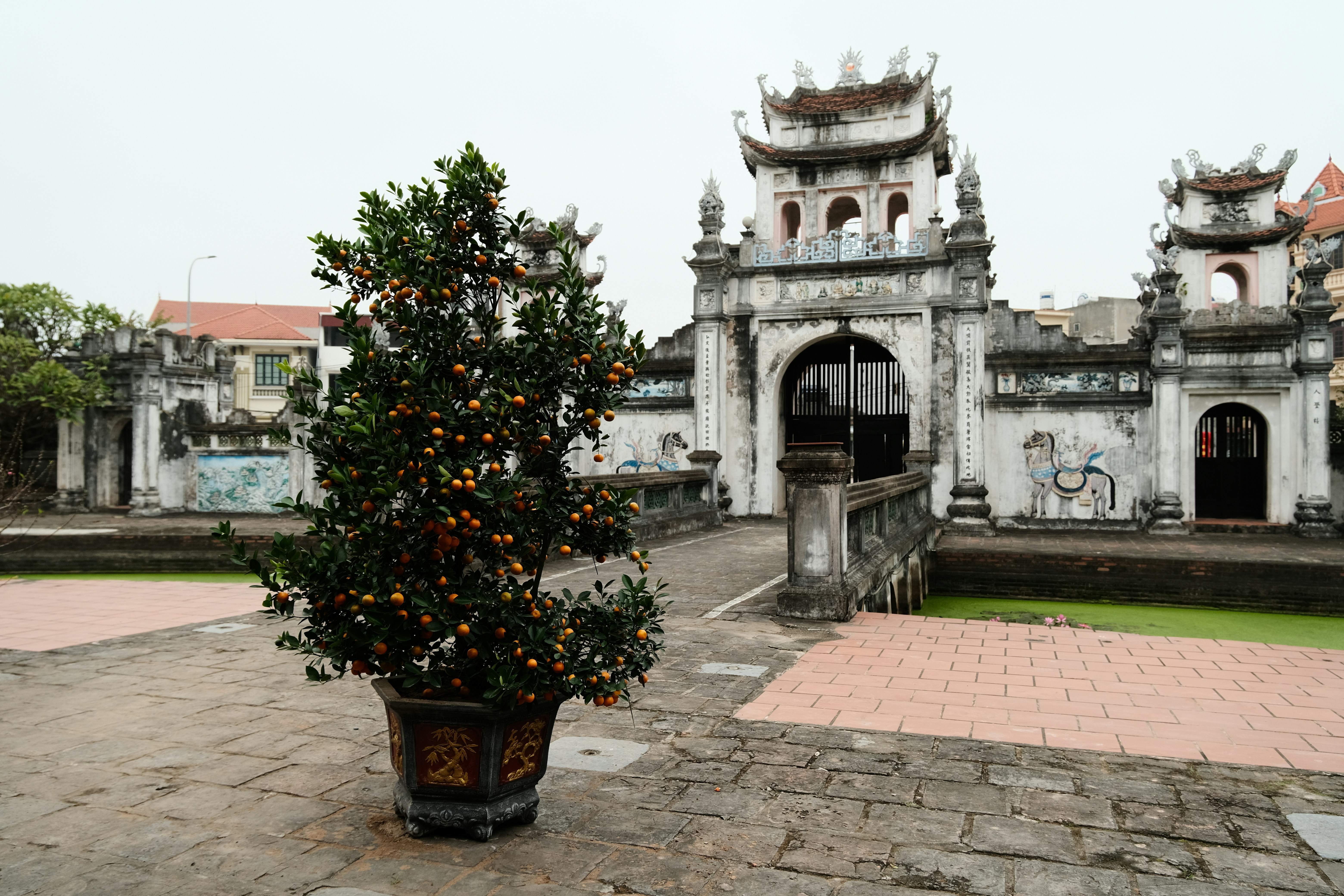 Orchard in the Gatehouse Courtyard