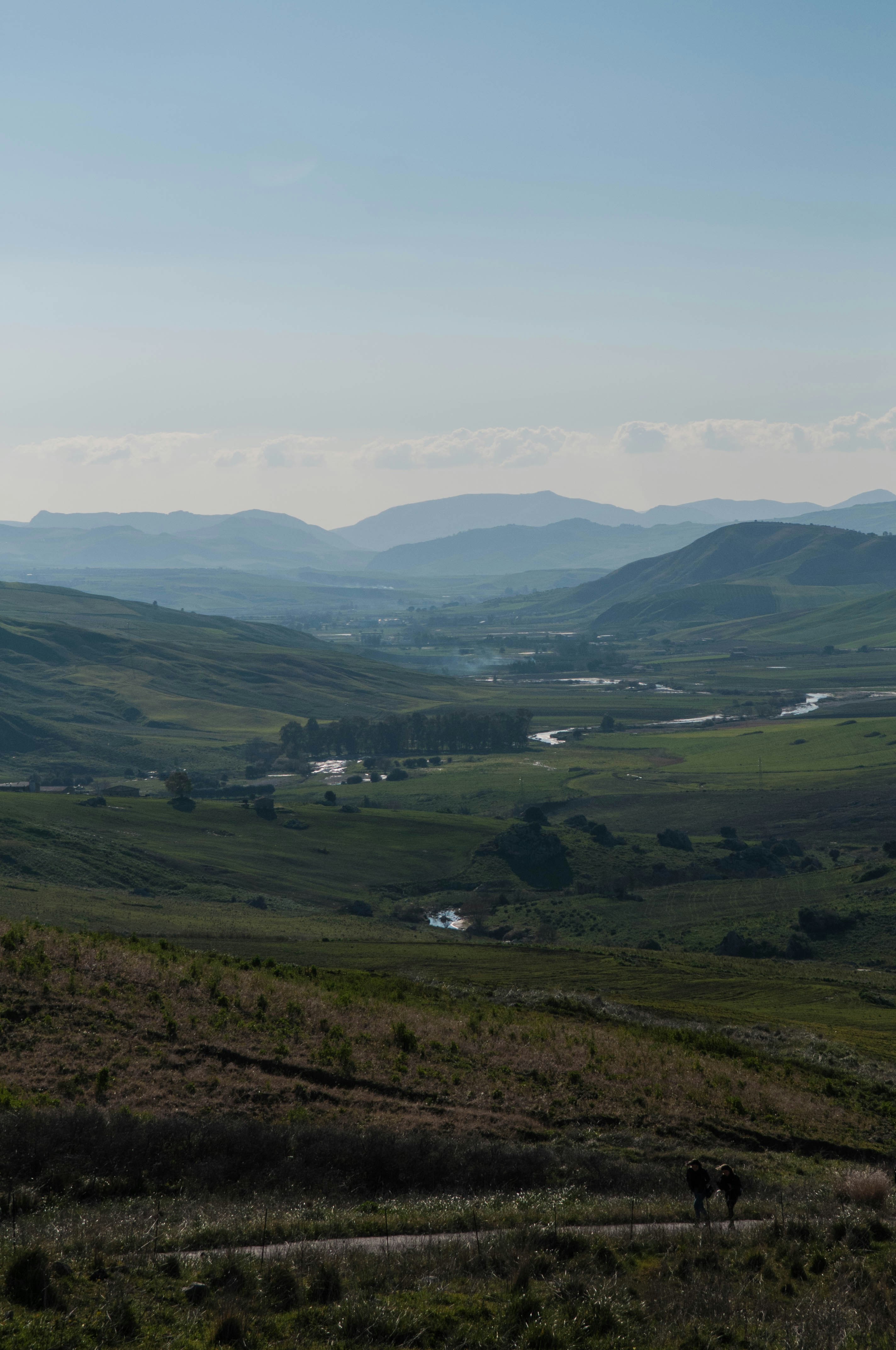 Horizon of Quiet Valleys: A Lone Horse at Dusk