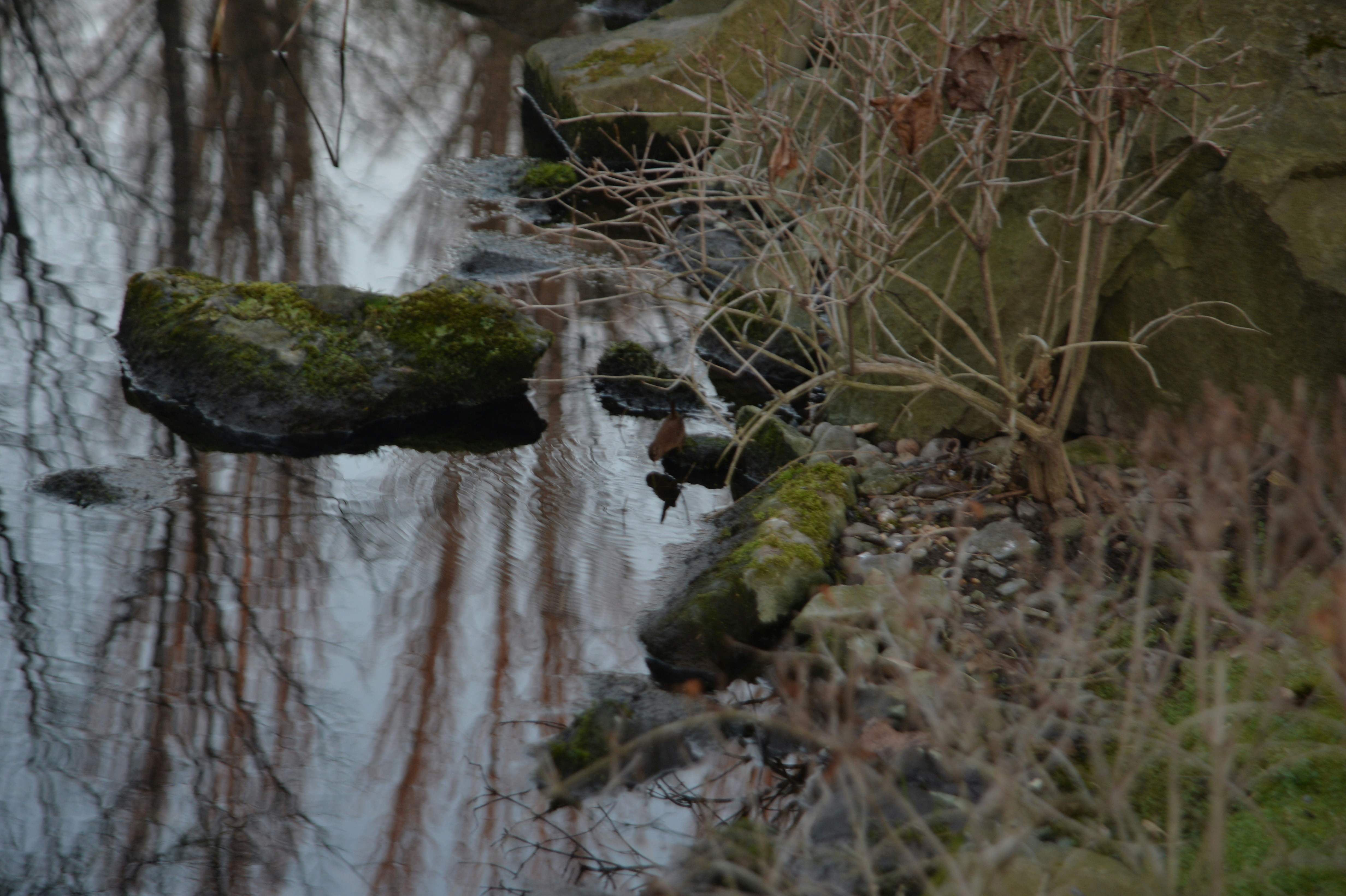 Photo by Balikó András with Nikon Df