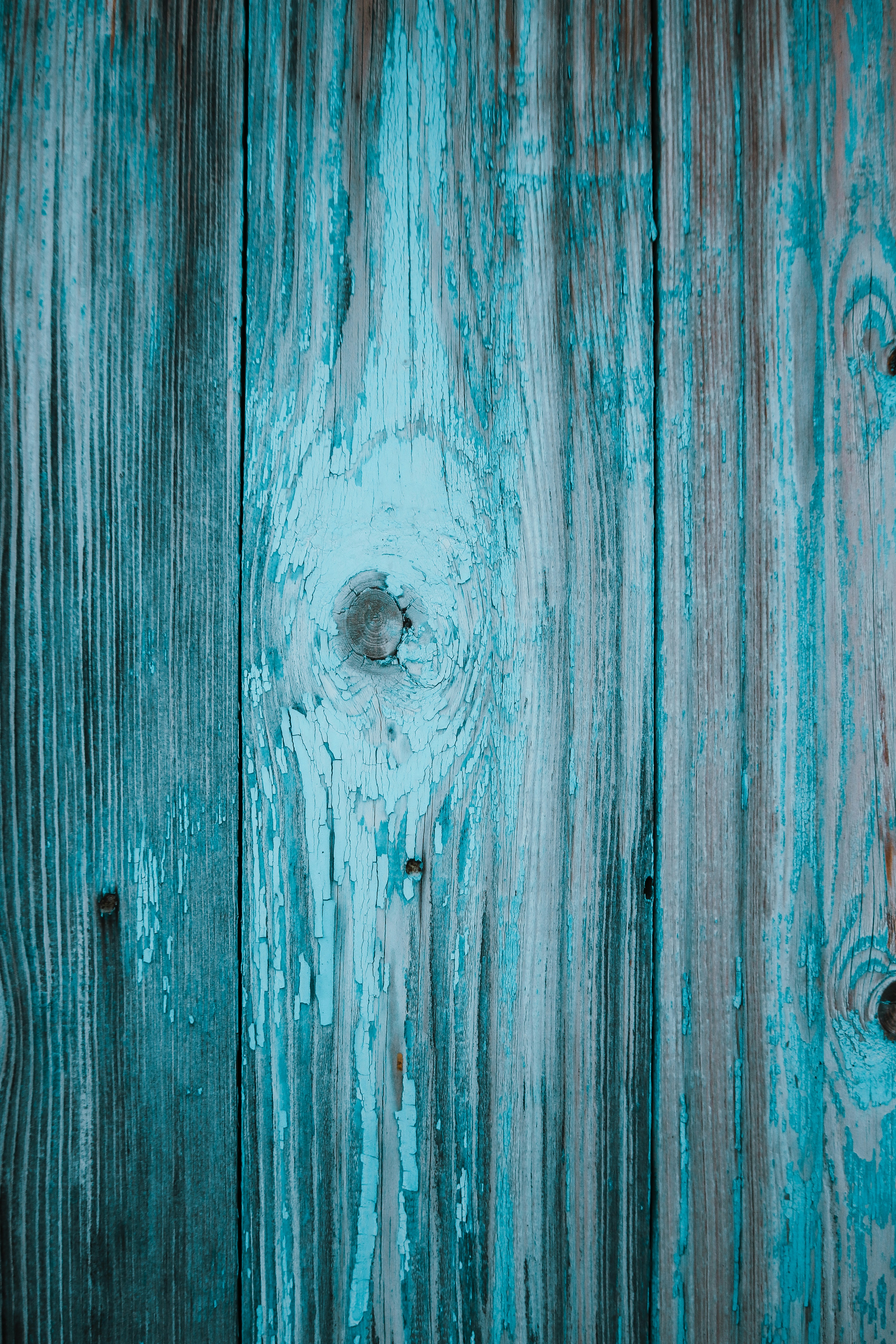 Knot and Cyan Veil: Weathered Turquoise Wood Close-UpOlga Deeva