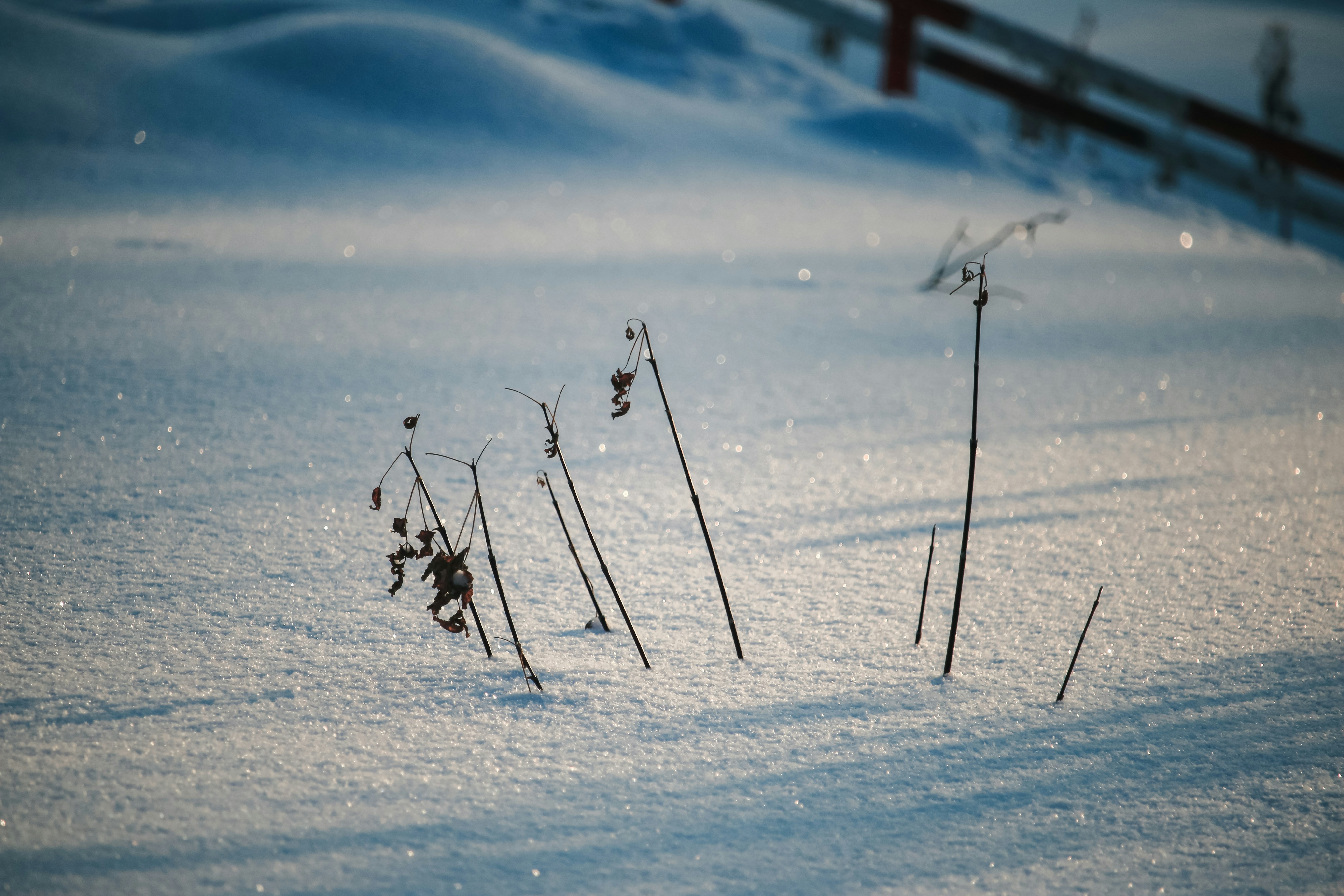 Photo by Olga Deeva with Canon EOS 70D