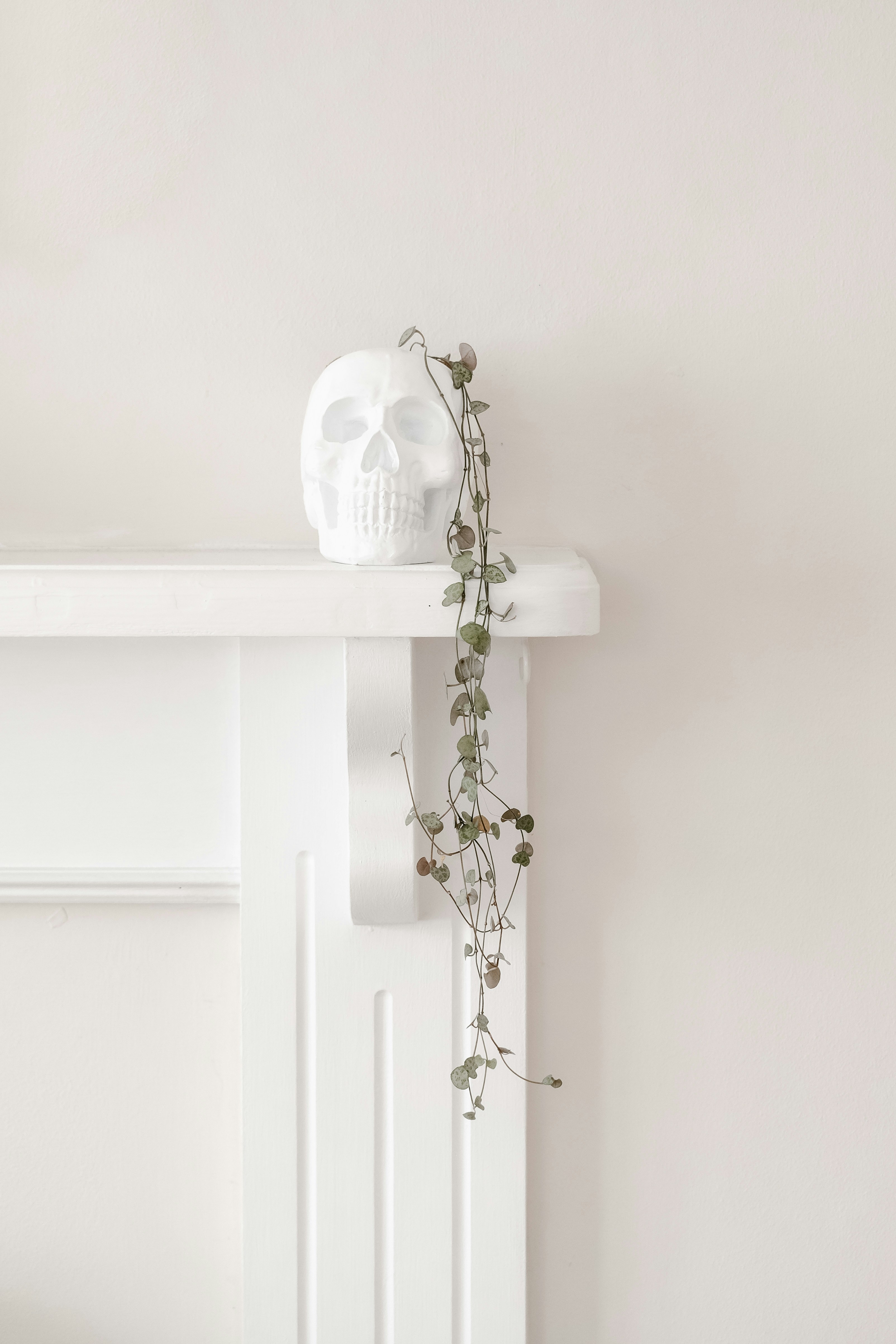 skull x string of pearlsNik