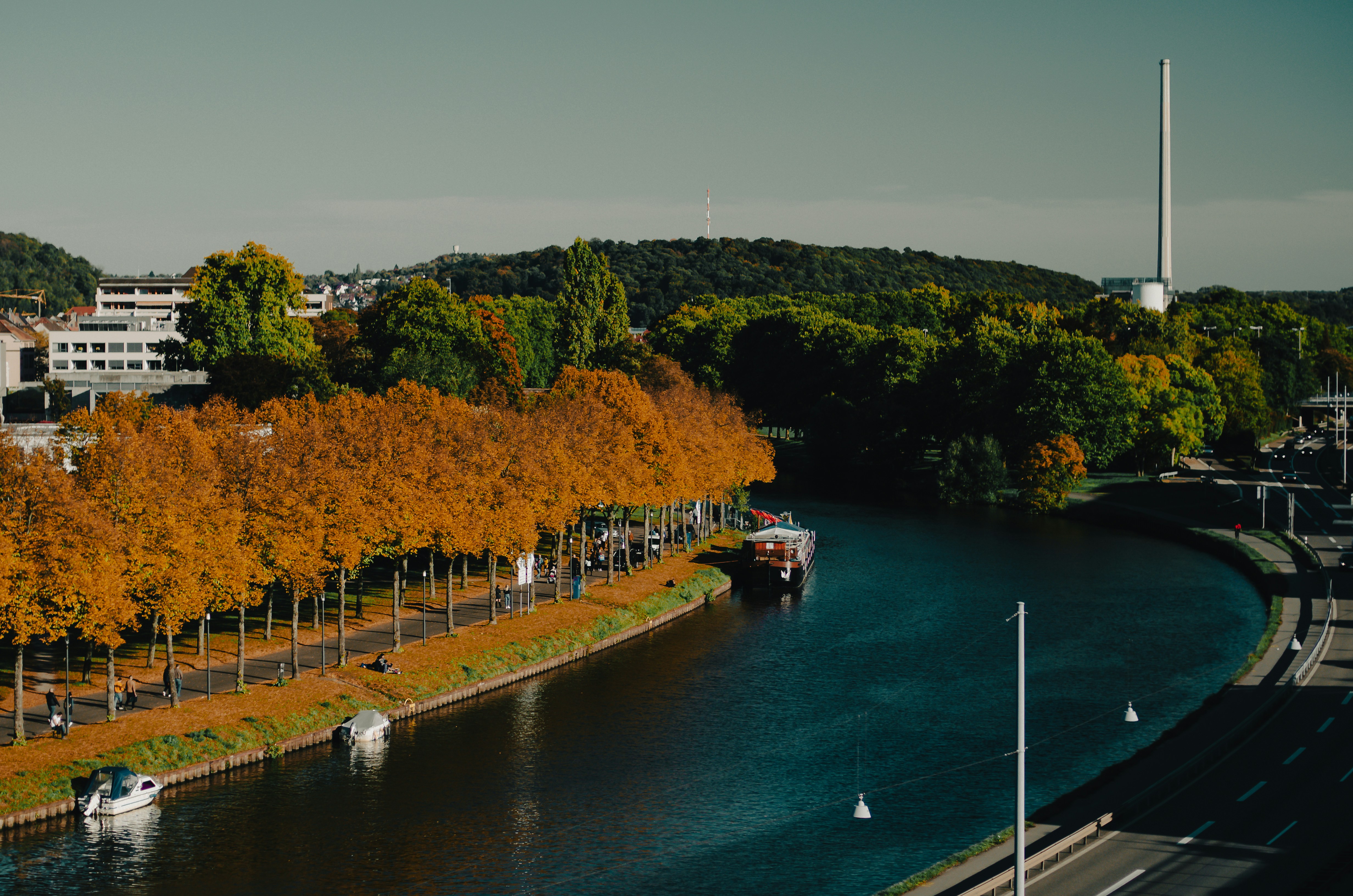 Amber Row Along the River: Autumn Light Over a Quiet Waterway