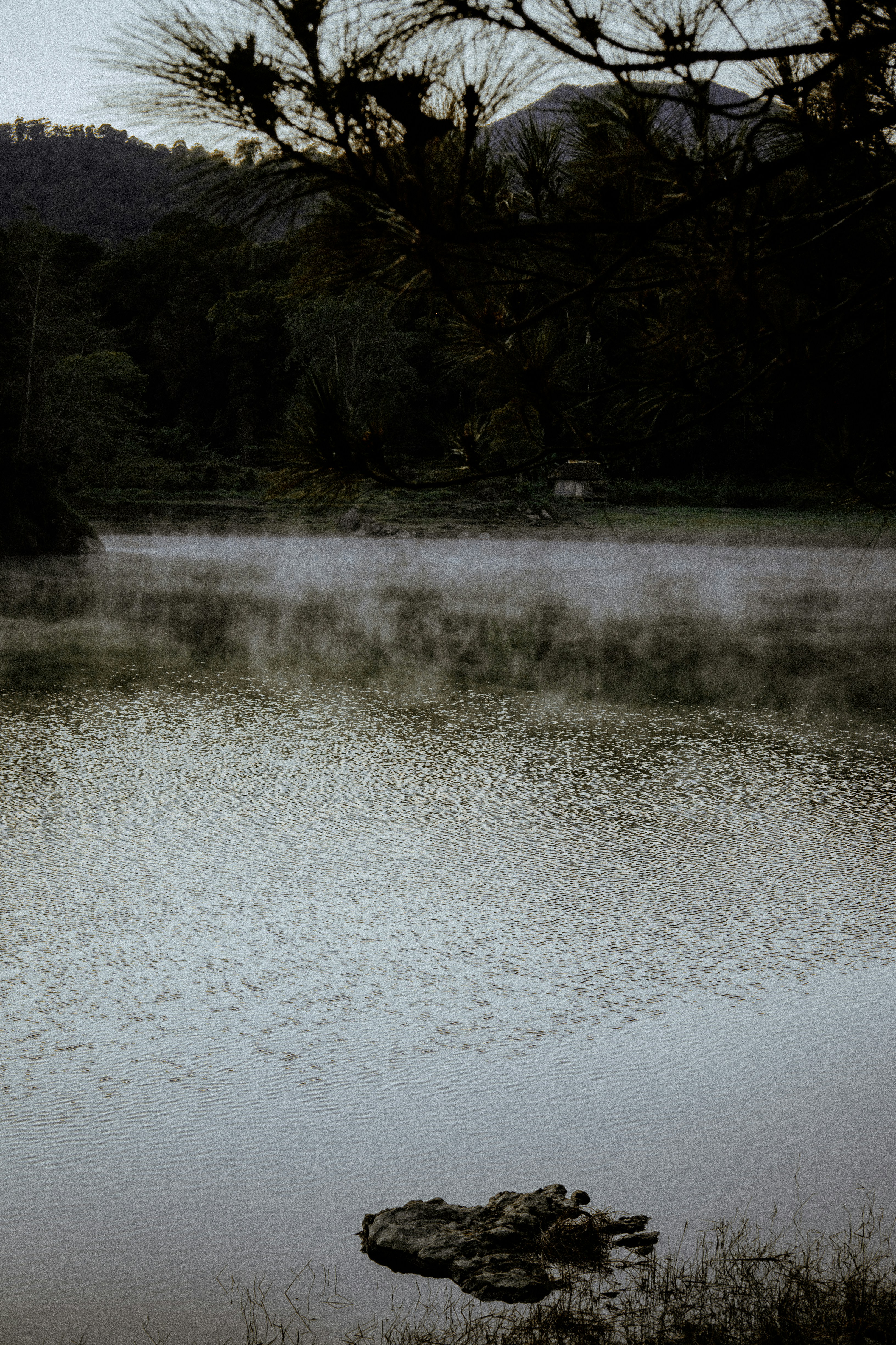 Lone Rock in Dawn Mist Over a Quiet Lake
