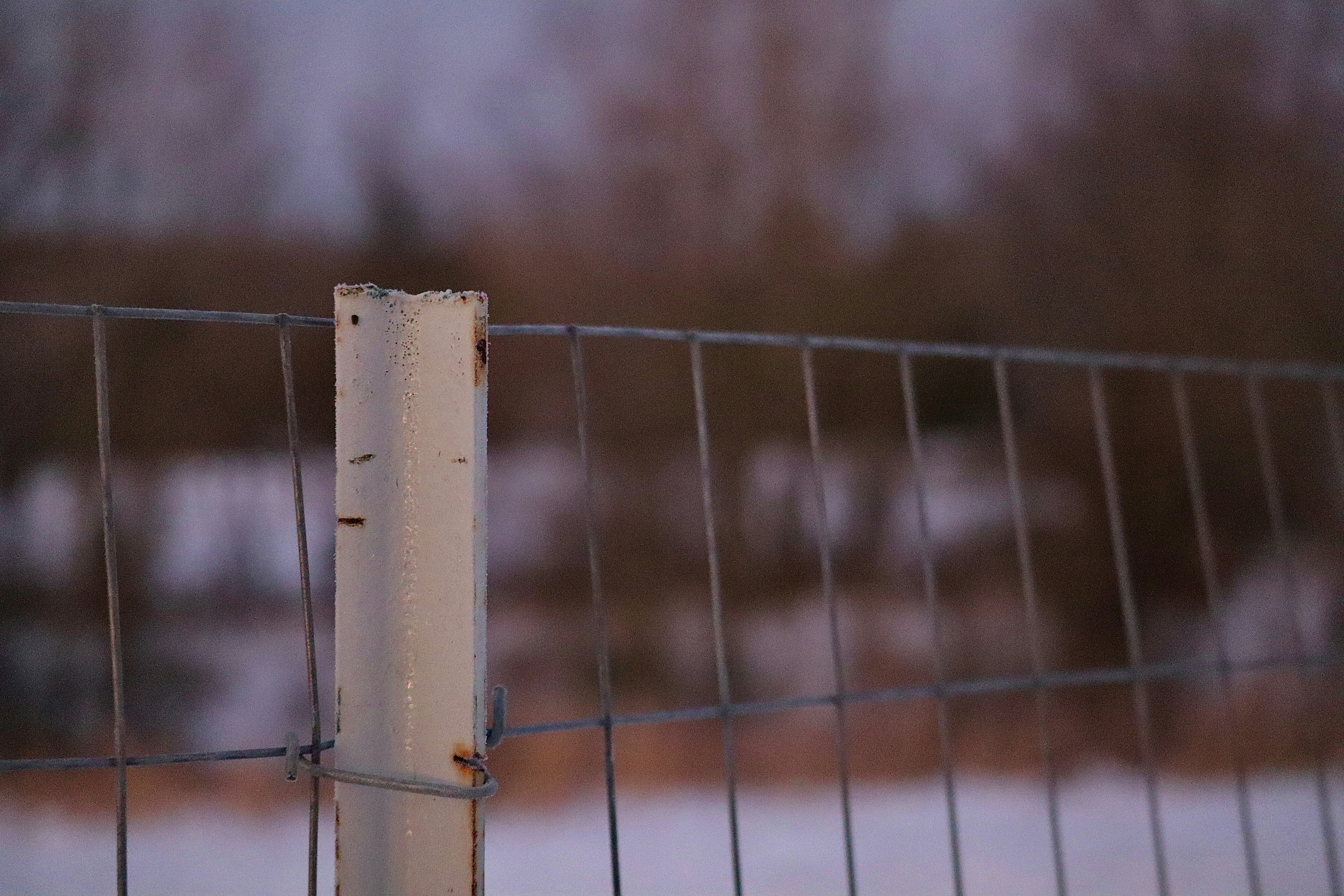 Lone Fence Post in a Soft Winter Blur
