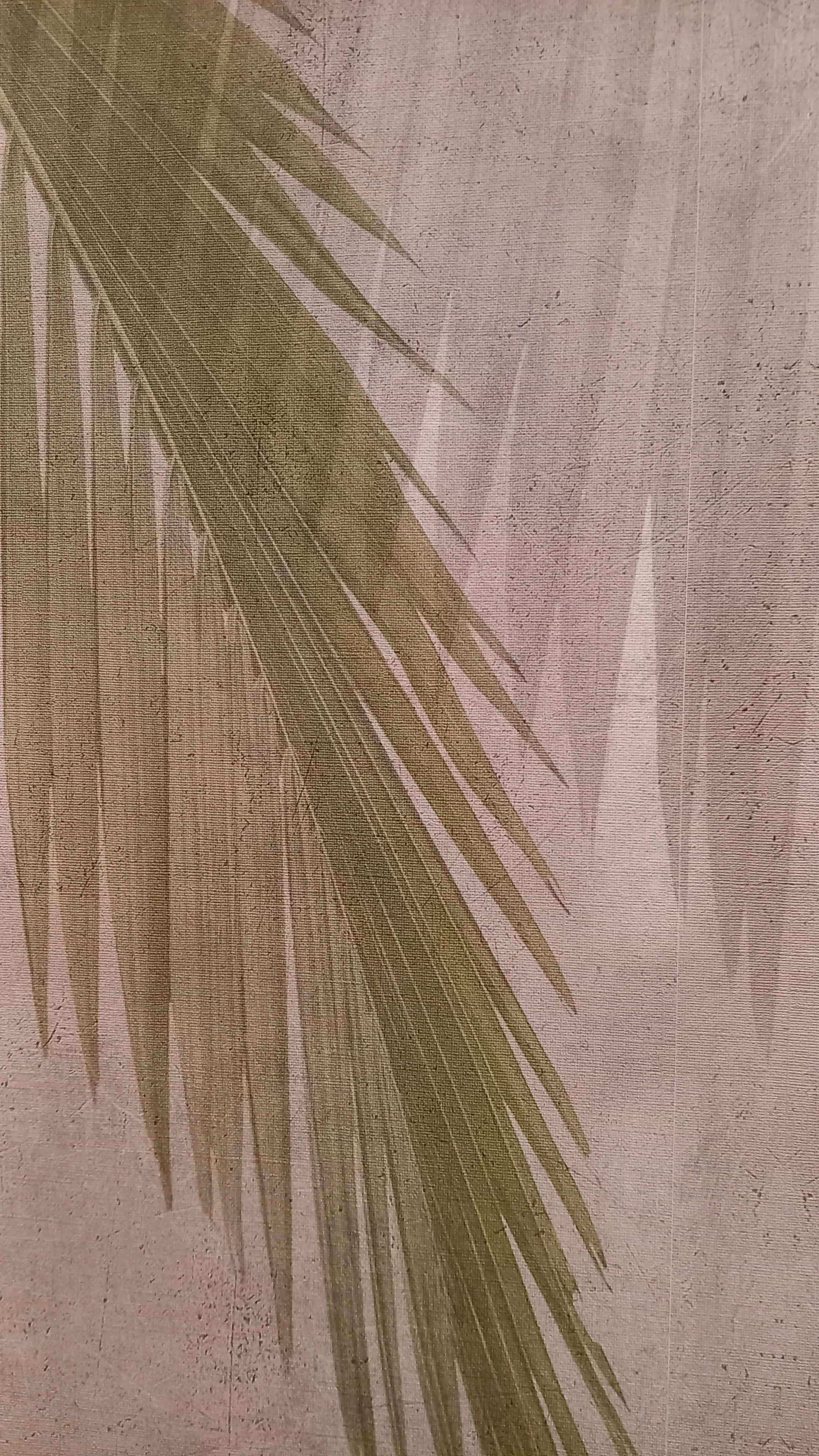 Sample photo from Samsung Galaxy A41