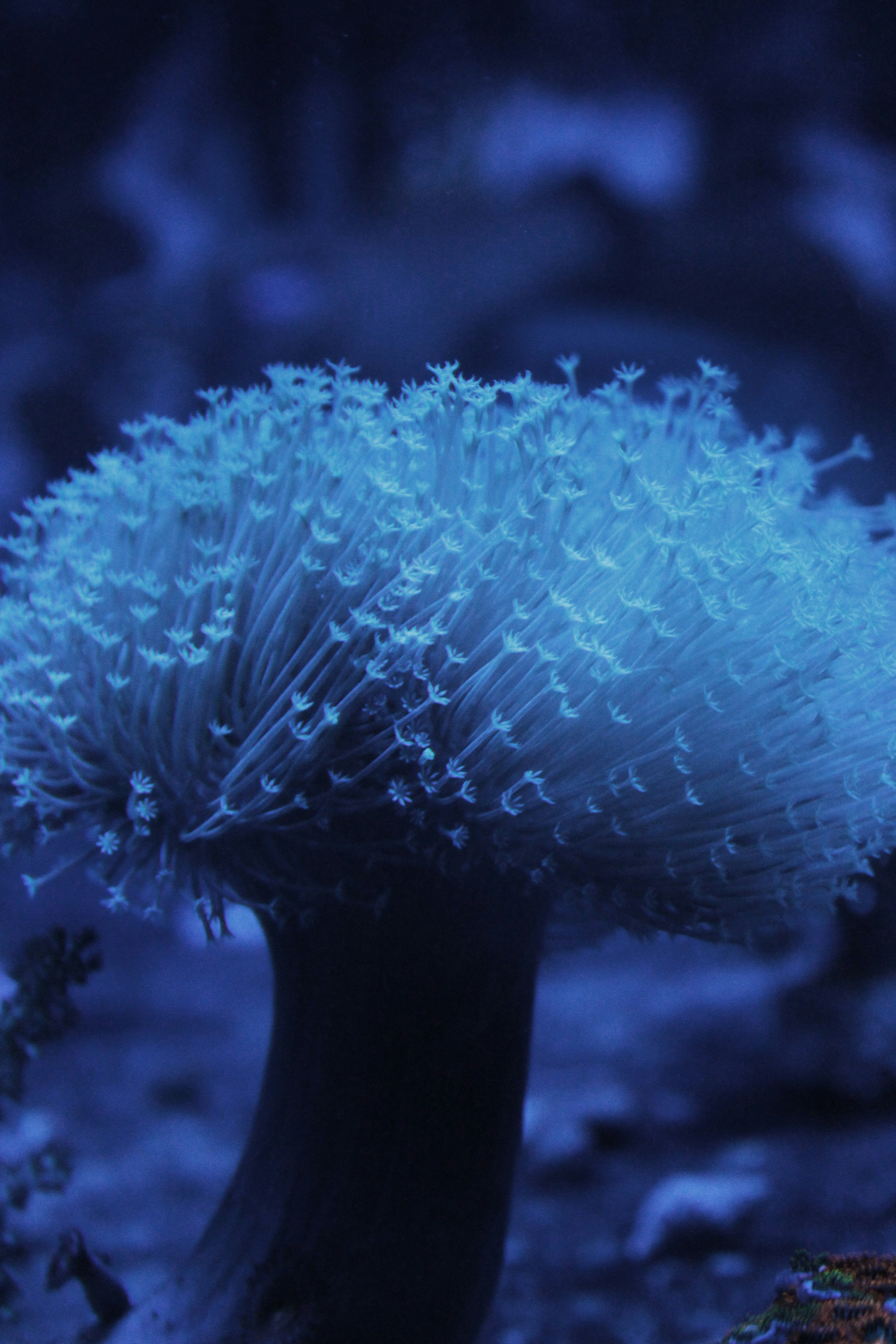 Ipad Pro Wallpaper Blue Pictures | Download Free Images on Unsplash