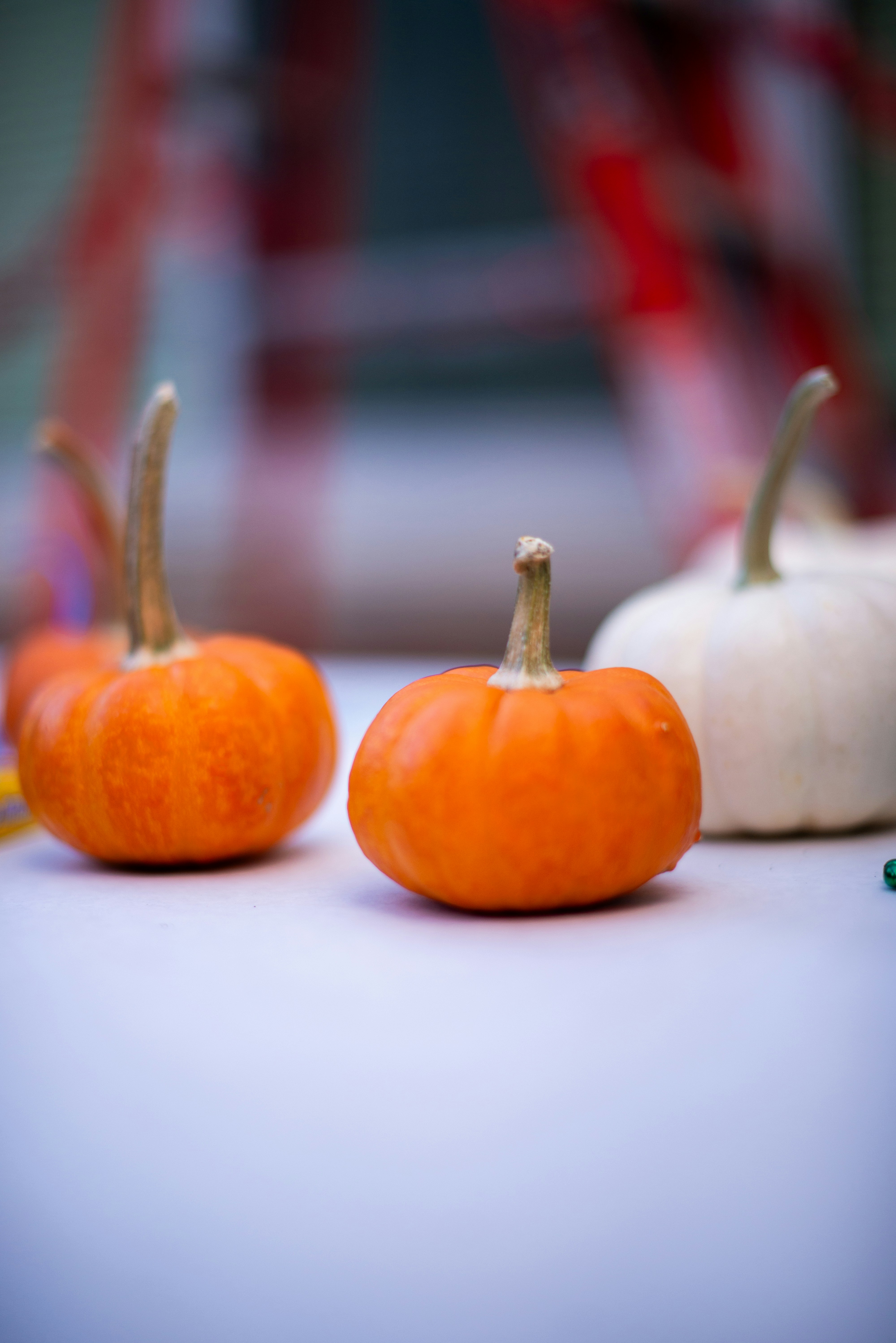 Tiny pumpkins on a cool autumn table