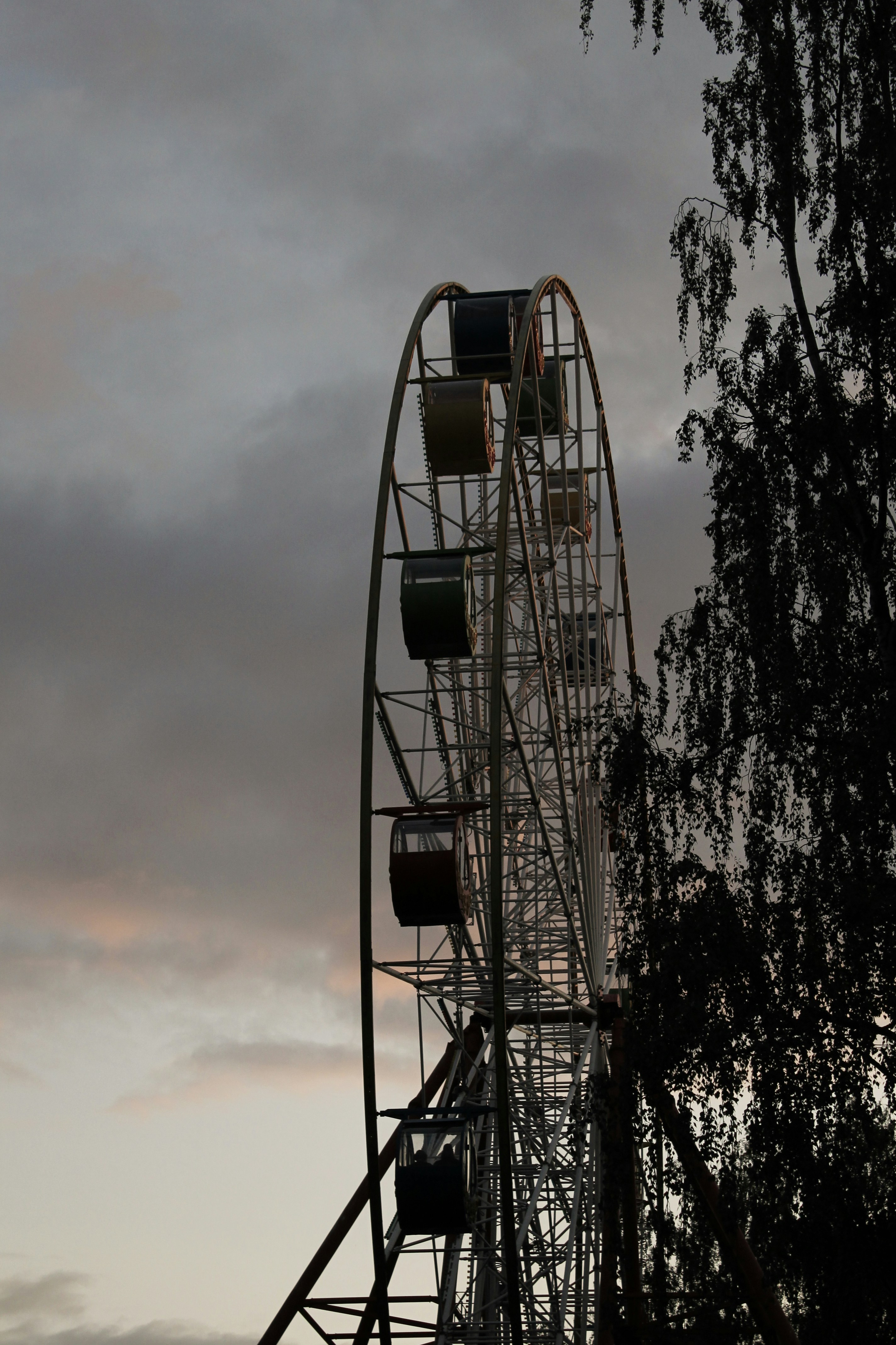 Dusk Ferris Wheel: A Quiet Giant Framed by Trees