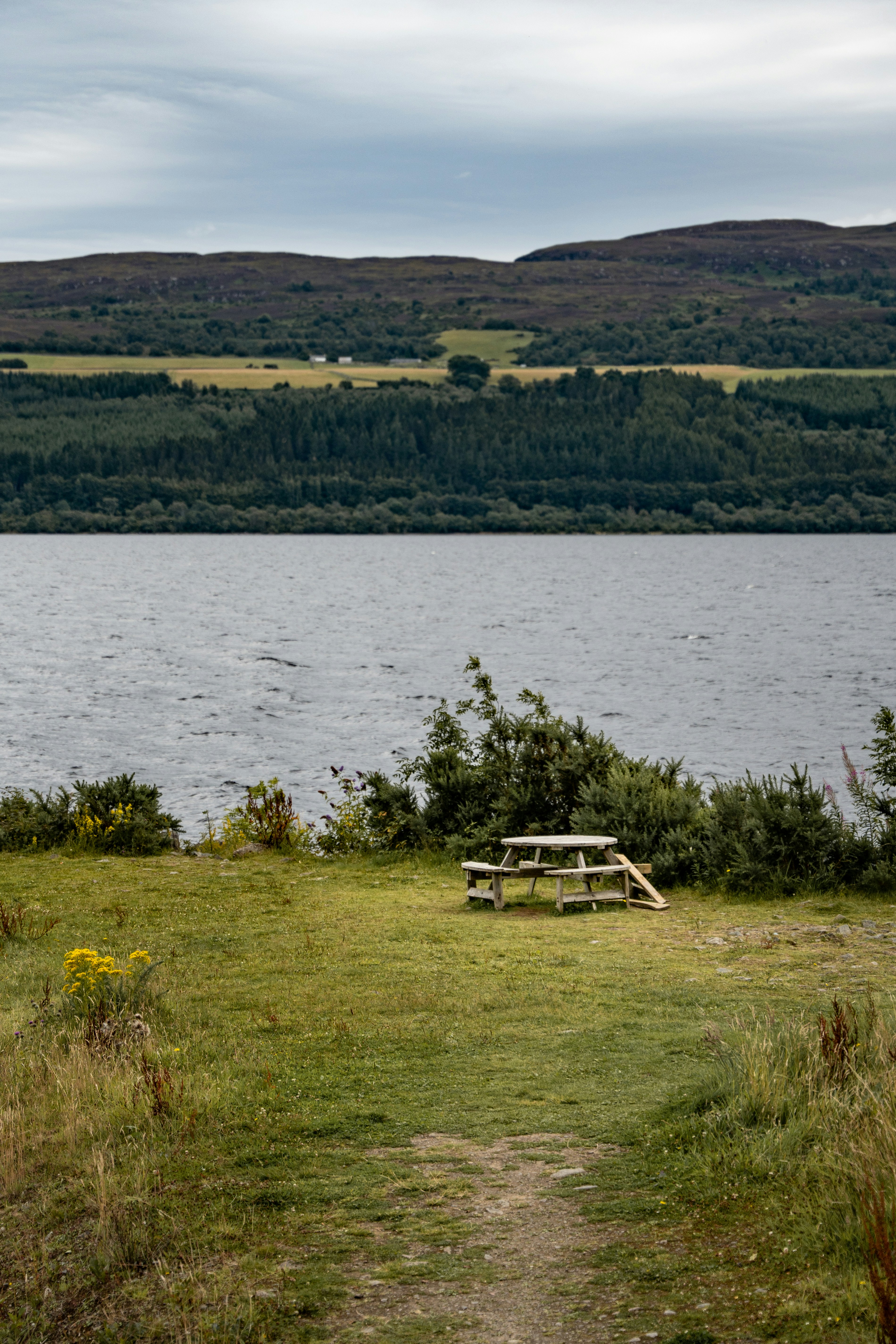a wooden bench sitting on top of a lush green field