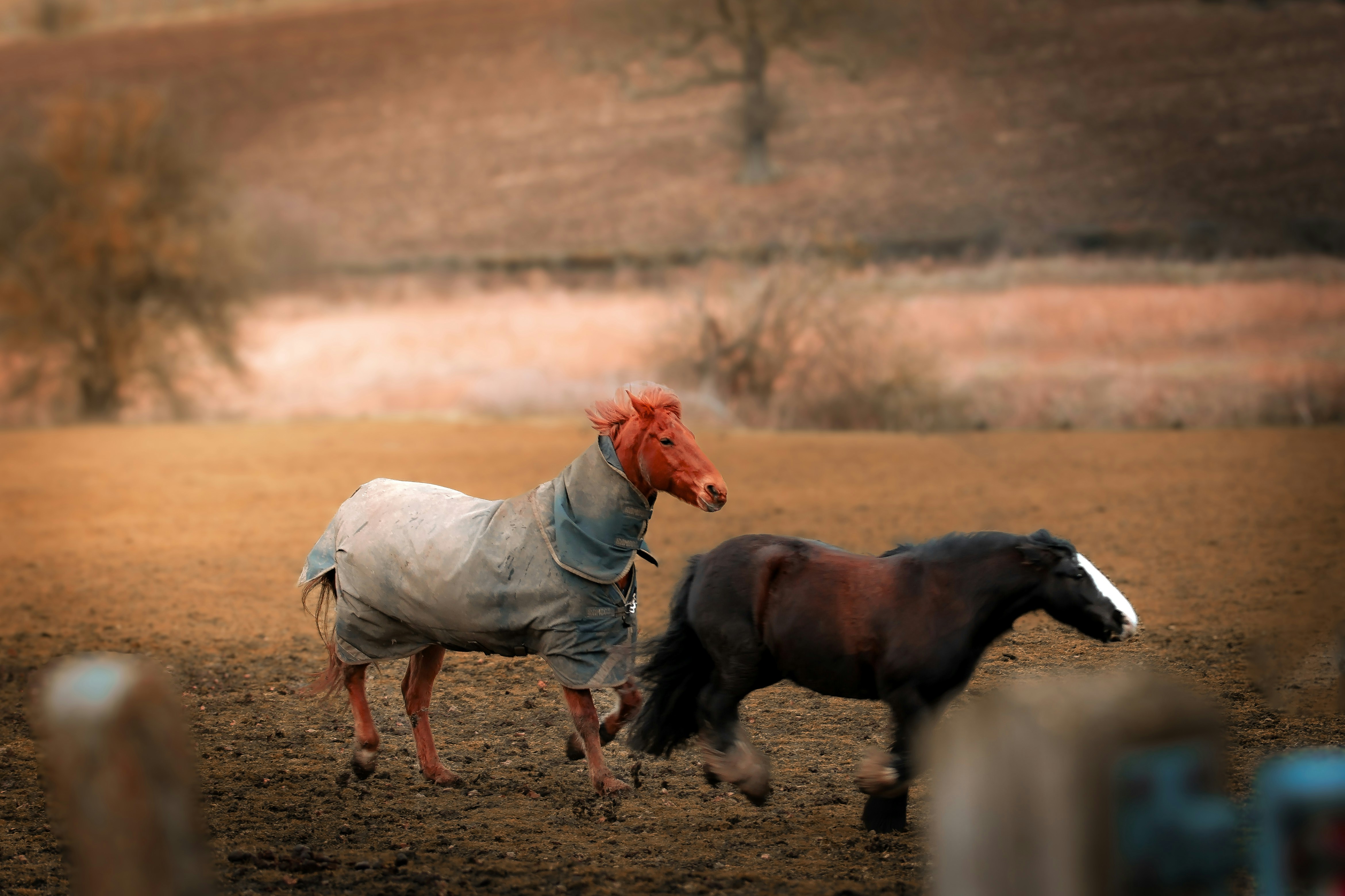 Photo by Flaviu Costin with Canon EOS R50