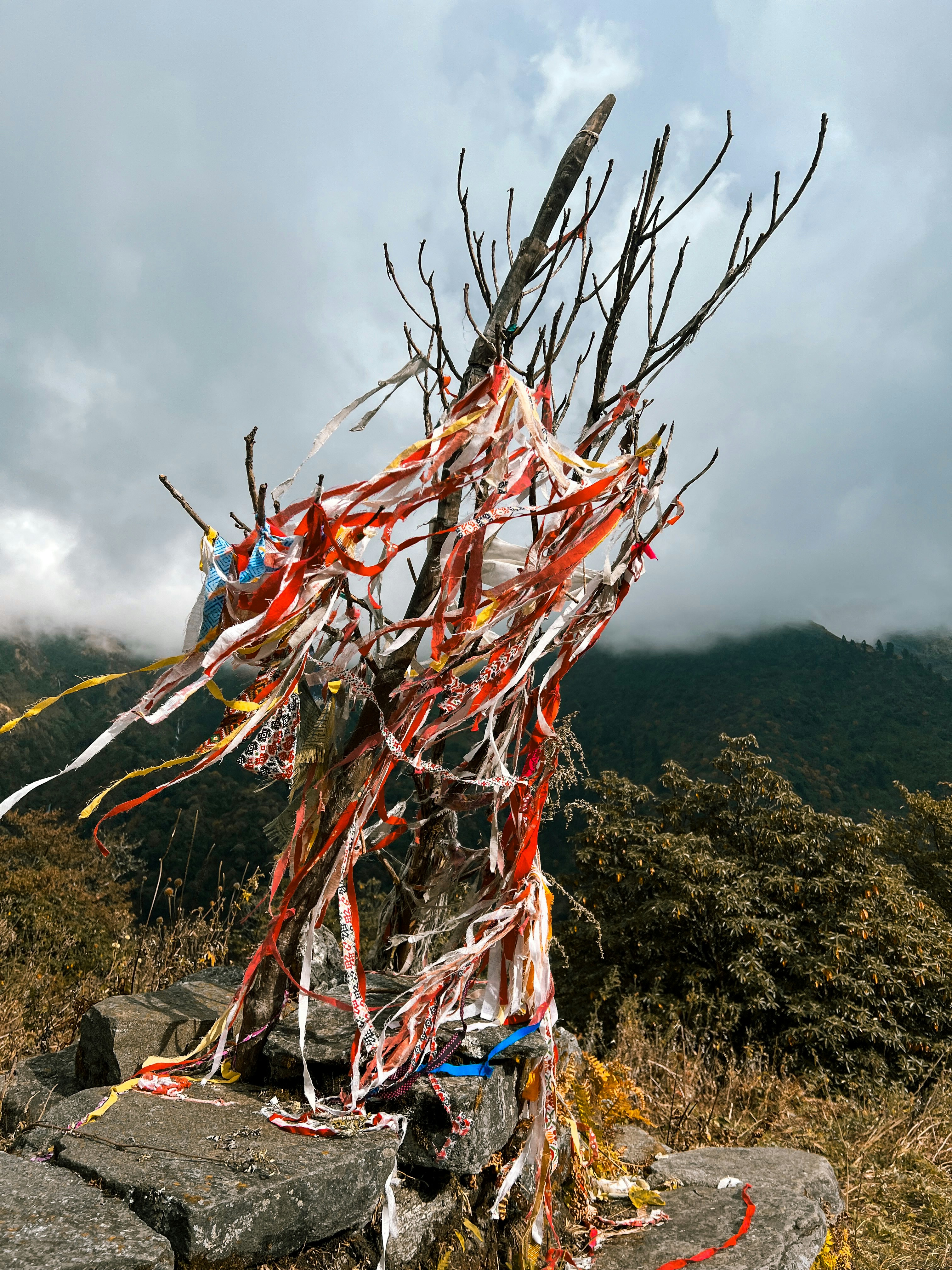 Temple and coloured ‘Dhaja’