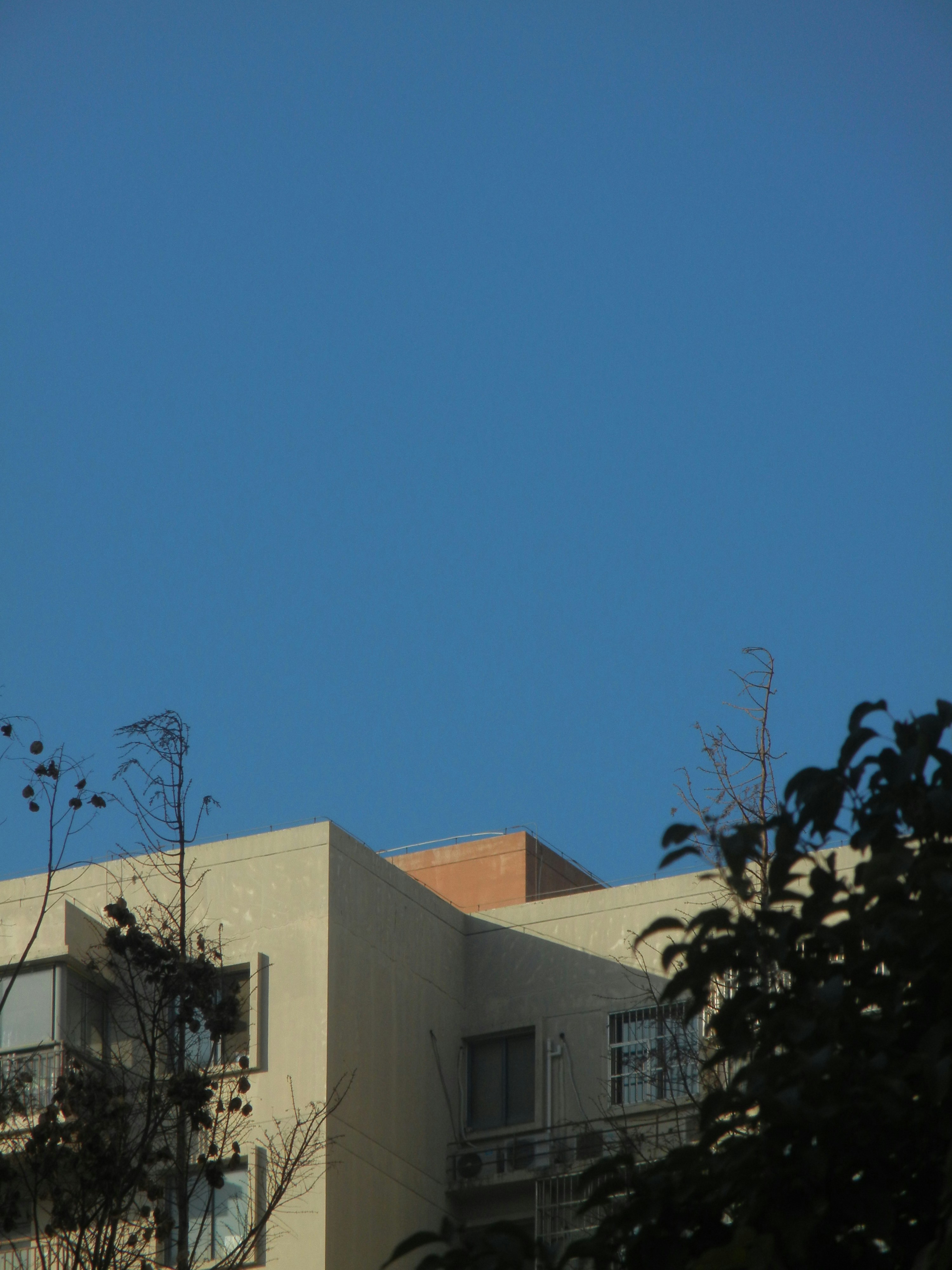 Sunlit building corner with sparse trees silhouetted against a broad blue sky.