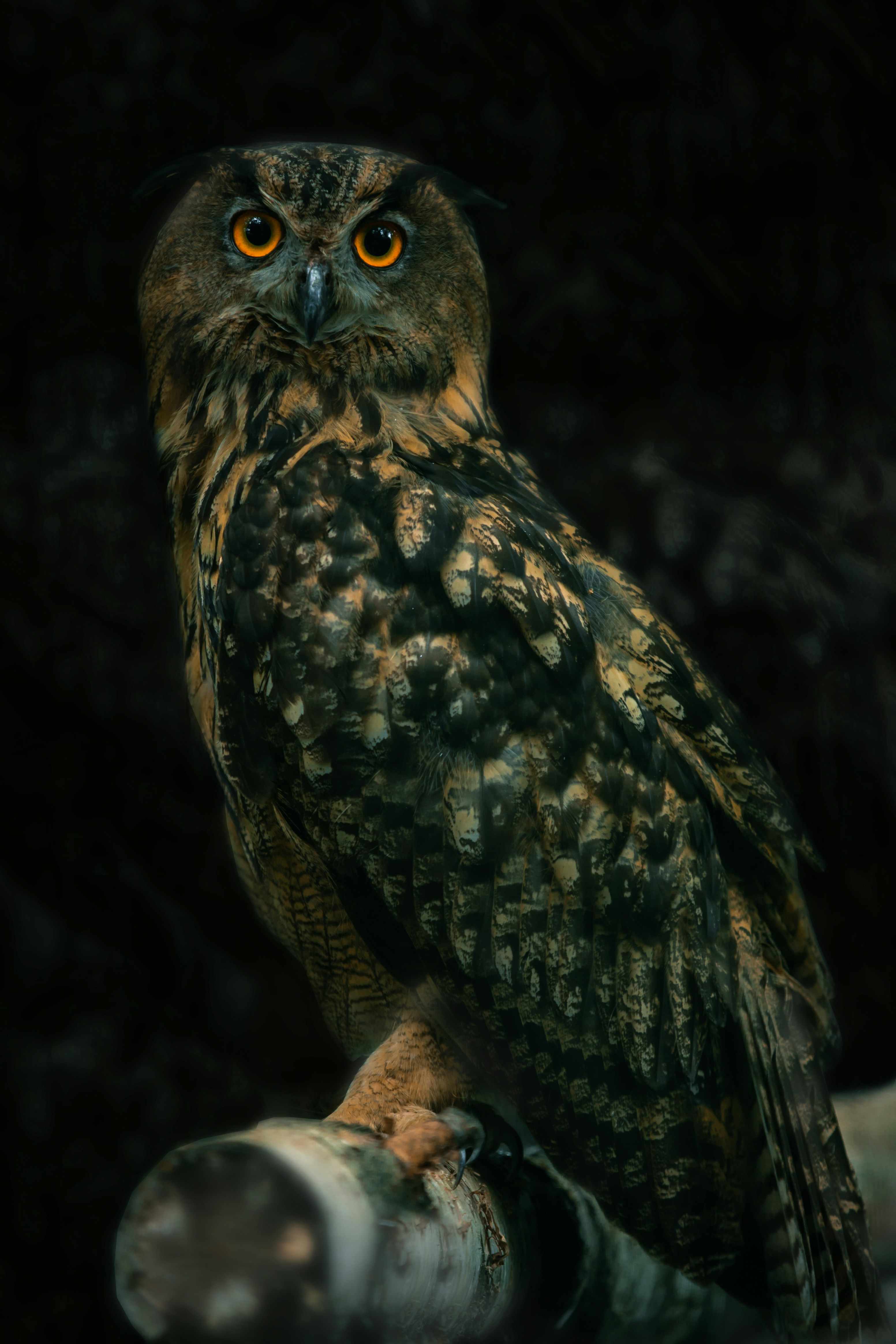 Photo by Sergey Koop with Canon EOS 5D Mark III