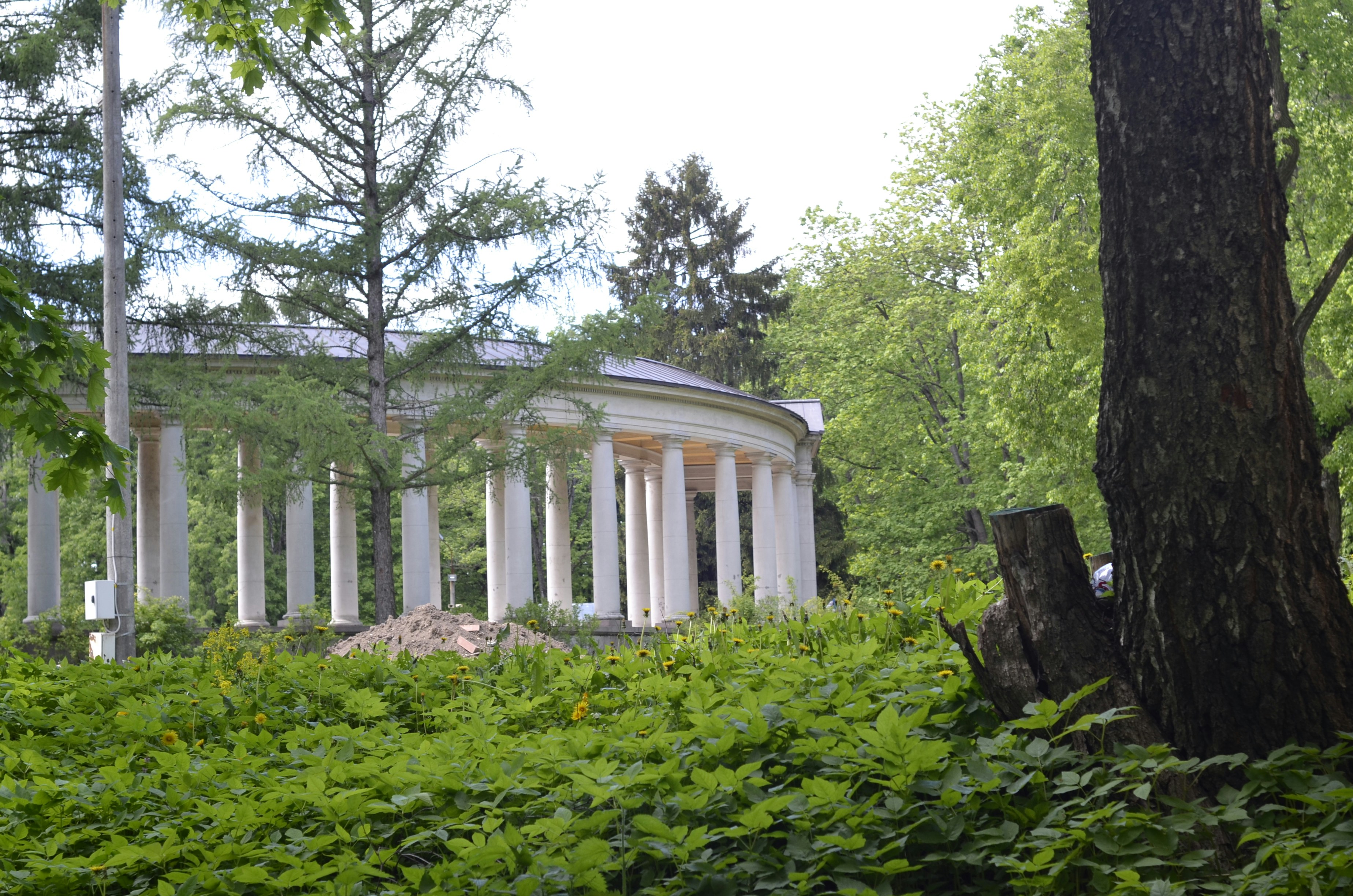 Photo by Alexander starcew with Nikon D7000