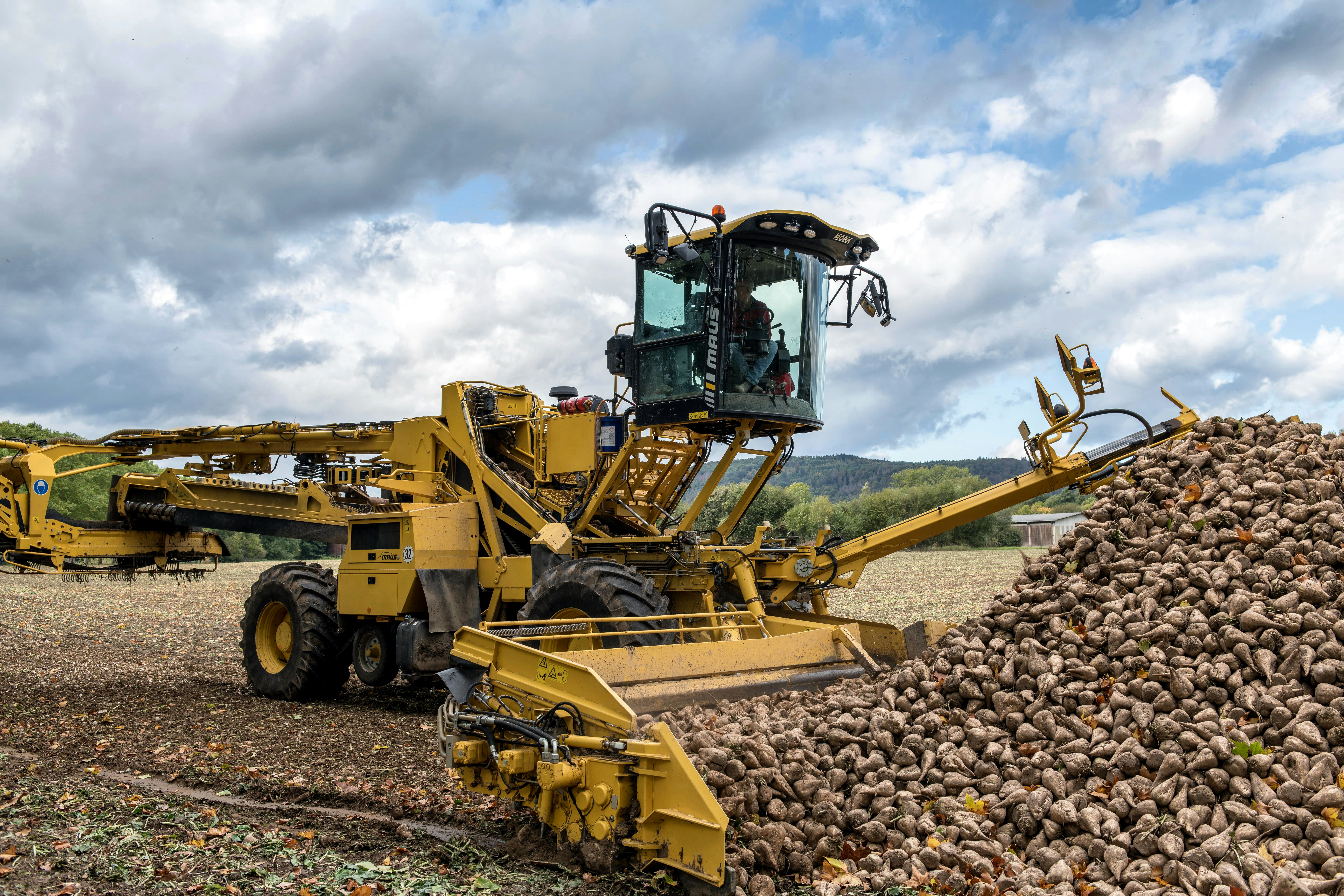 A large load of potatoes being loaded onto a tractor photo – Free ...