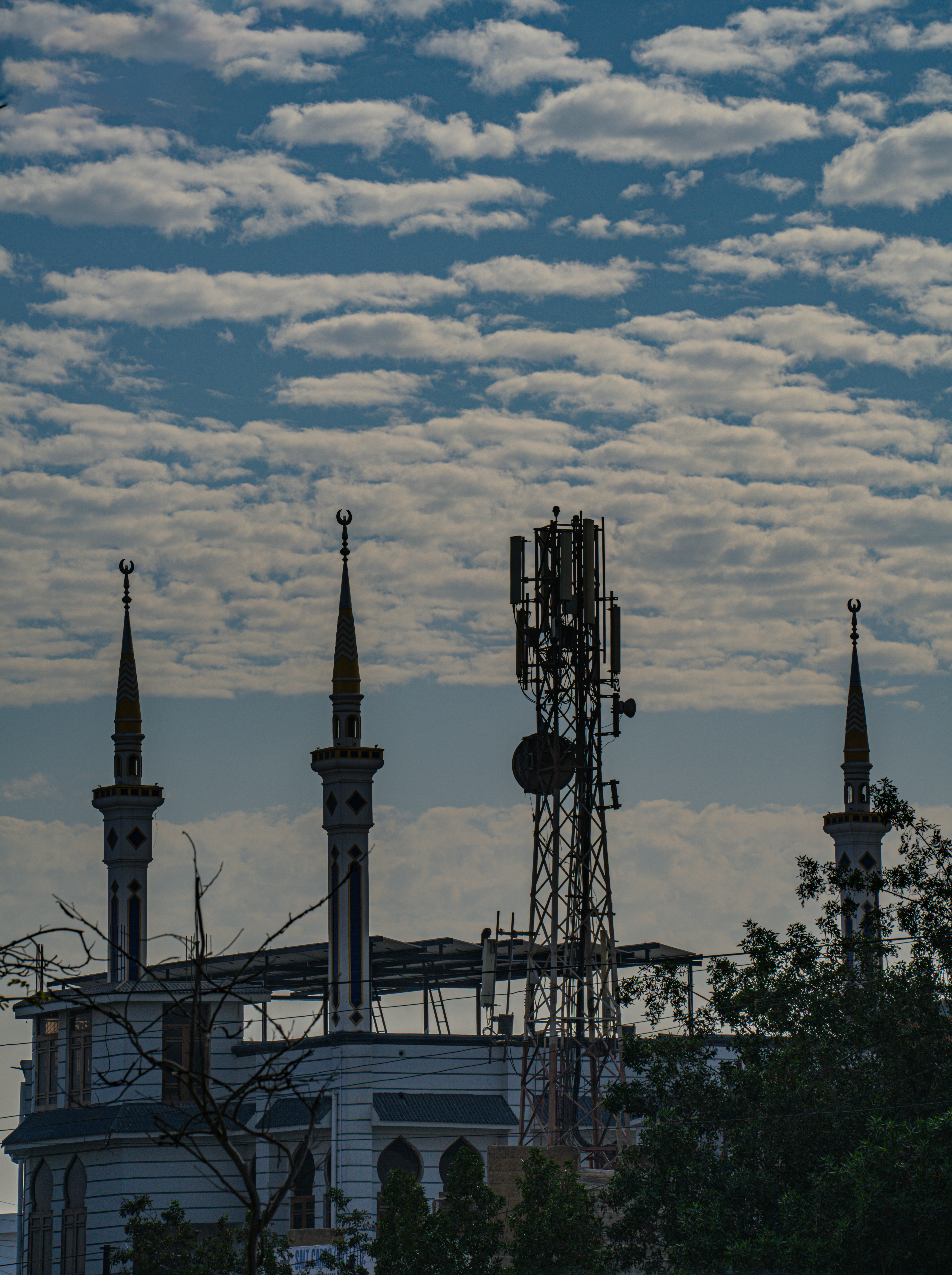 Minarets and a Cellular Monolith Against a Cloud-dusted Skyline