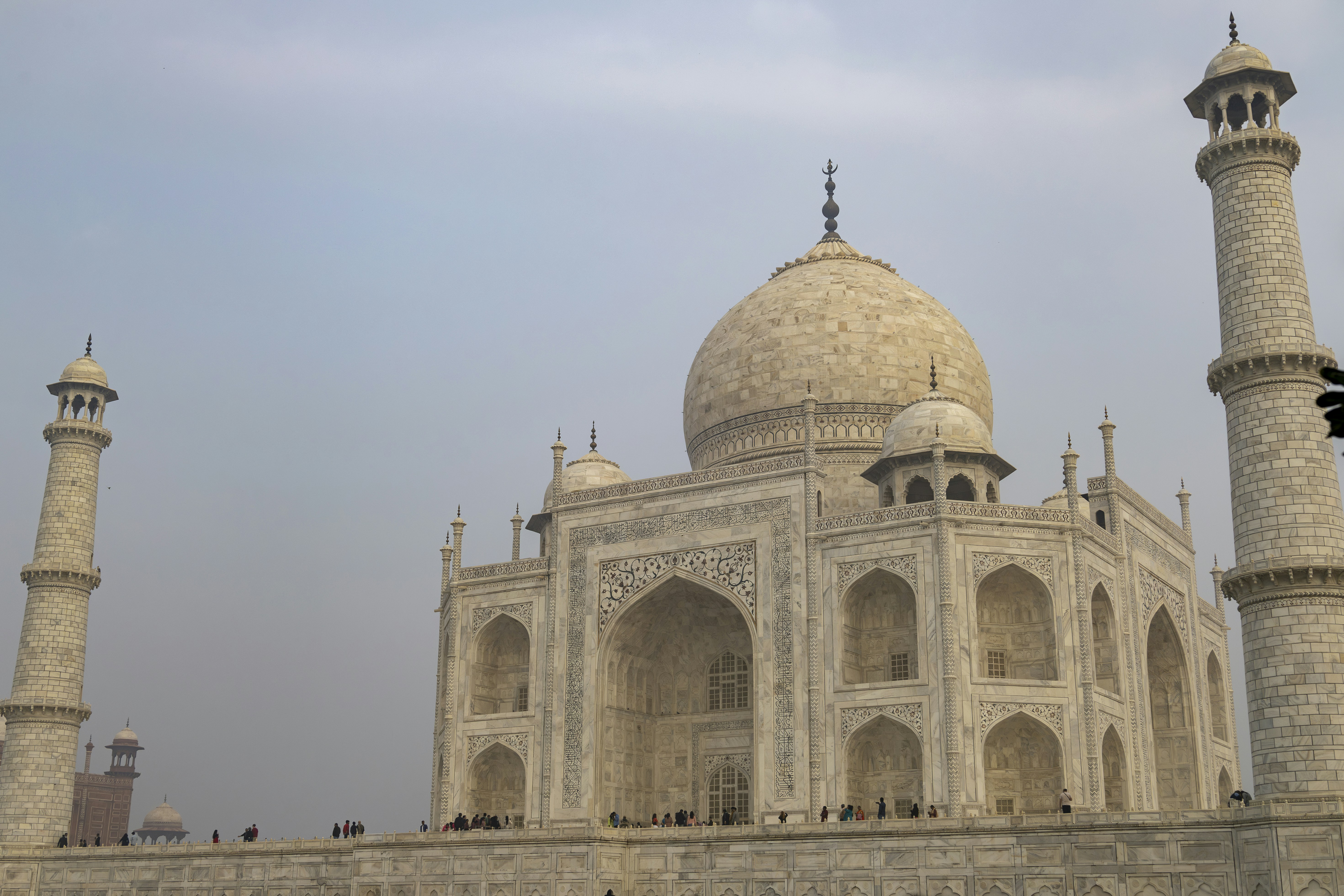 Majestic Silhouette of Timeless Elegance