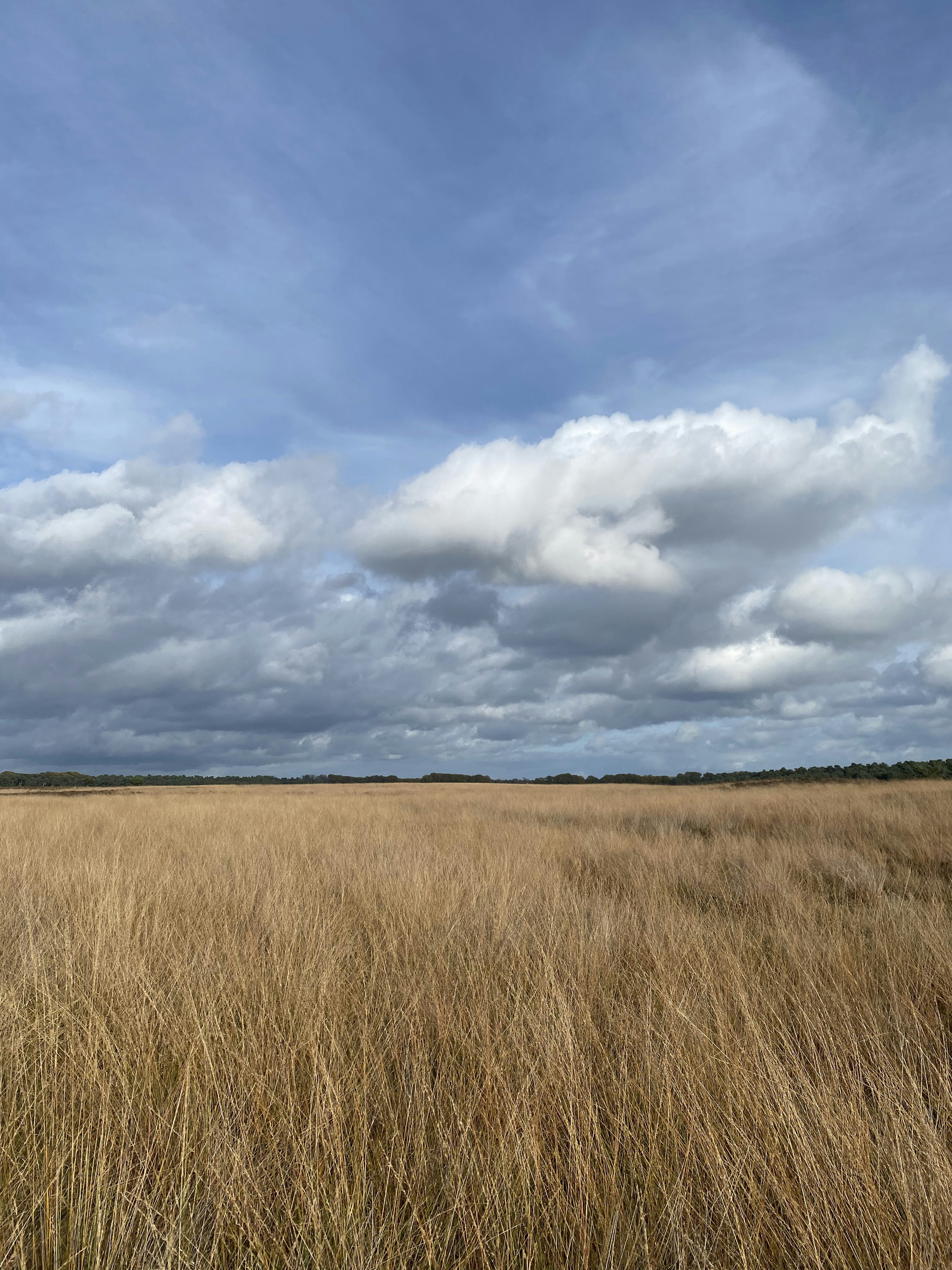 Photo by Fonsi Fernández with Apple iPhone 11