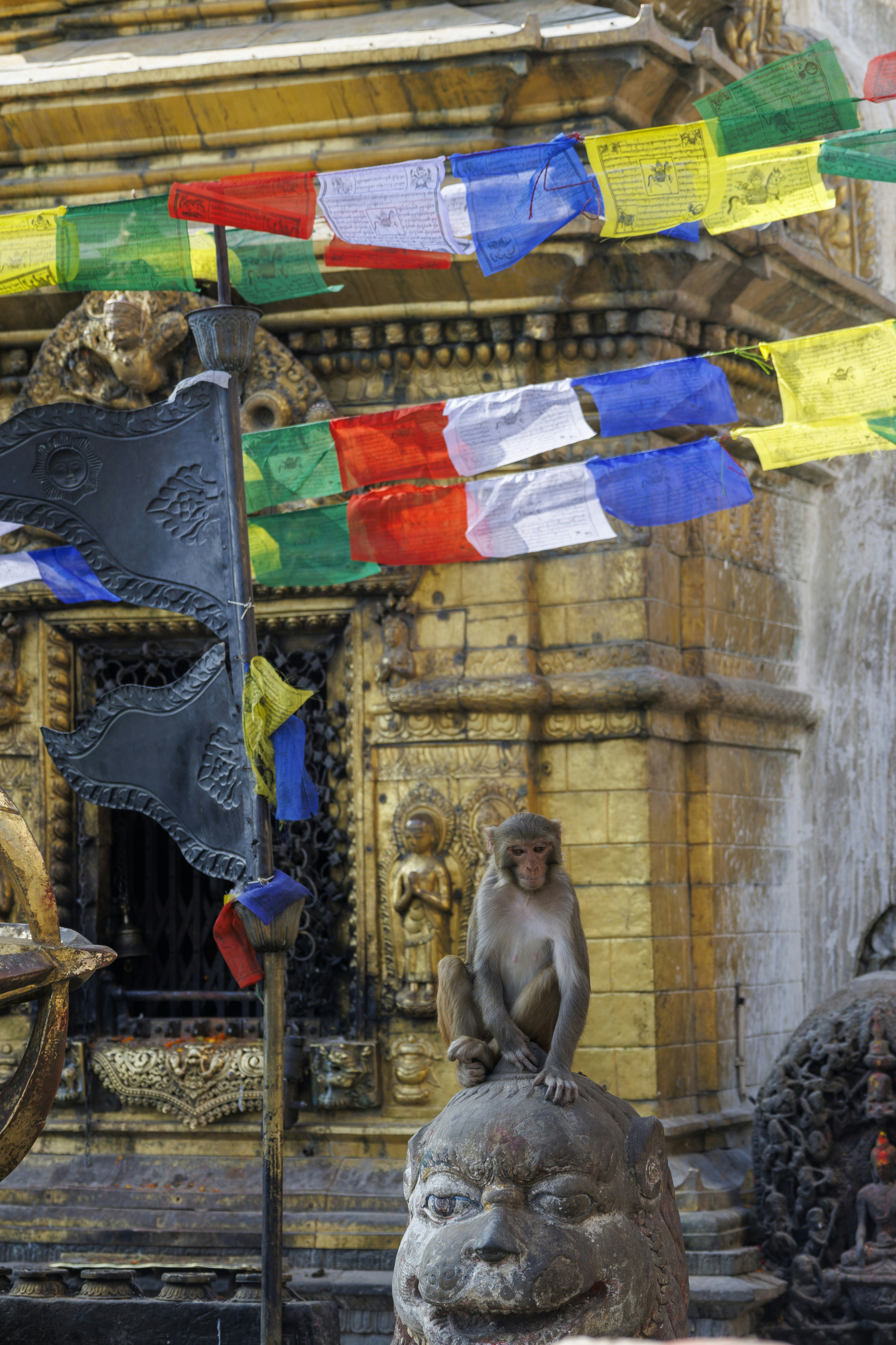 Monk on the Stone Head: A Monkey's Quiet Moment Amid Prayer Flags