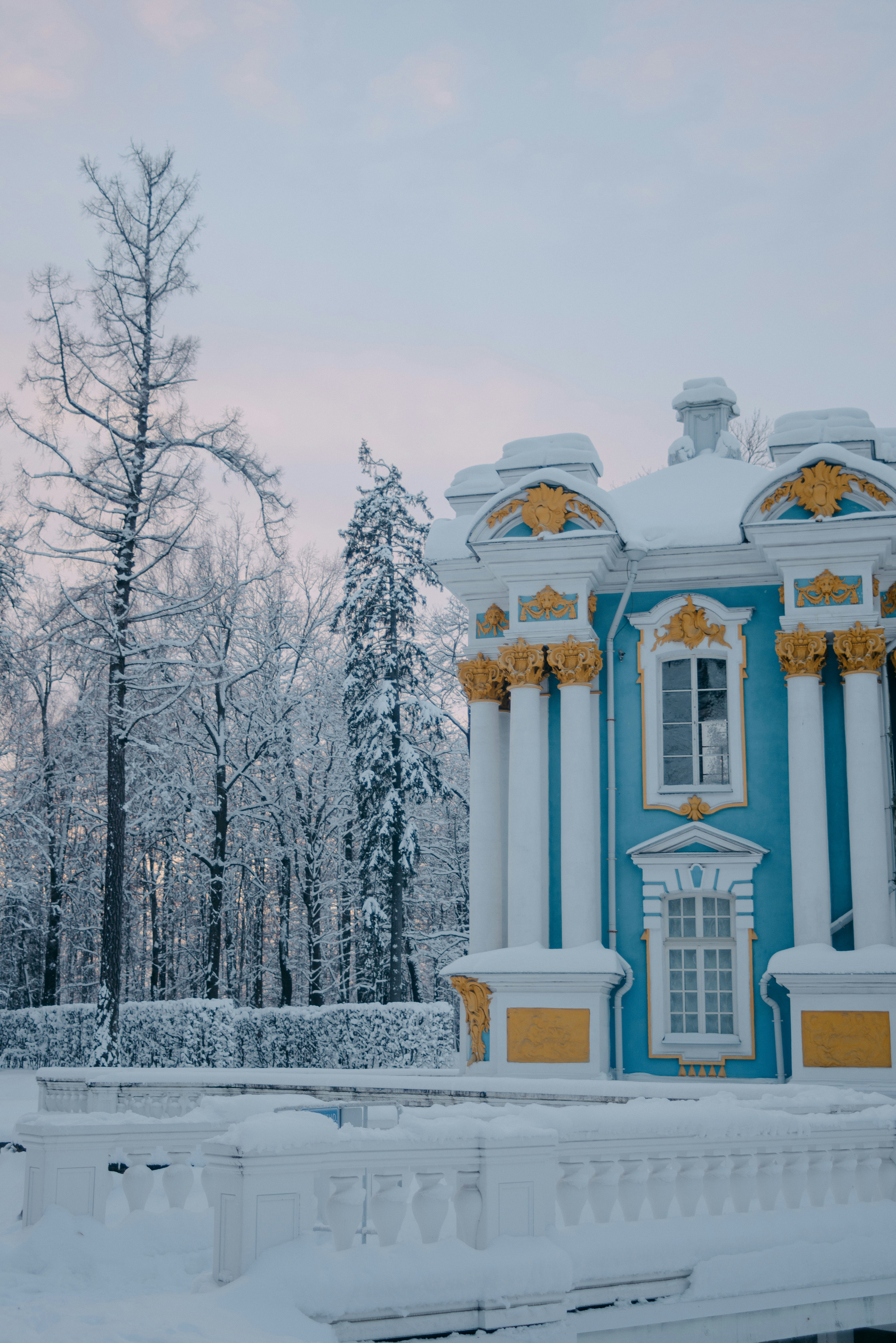 Photo by Viktoriya with Nikon D800