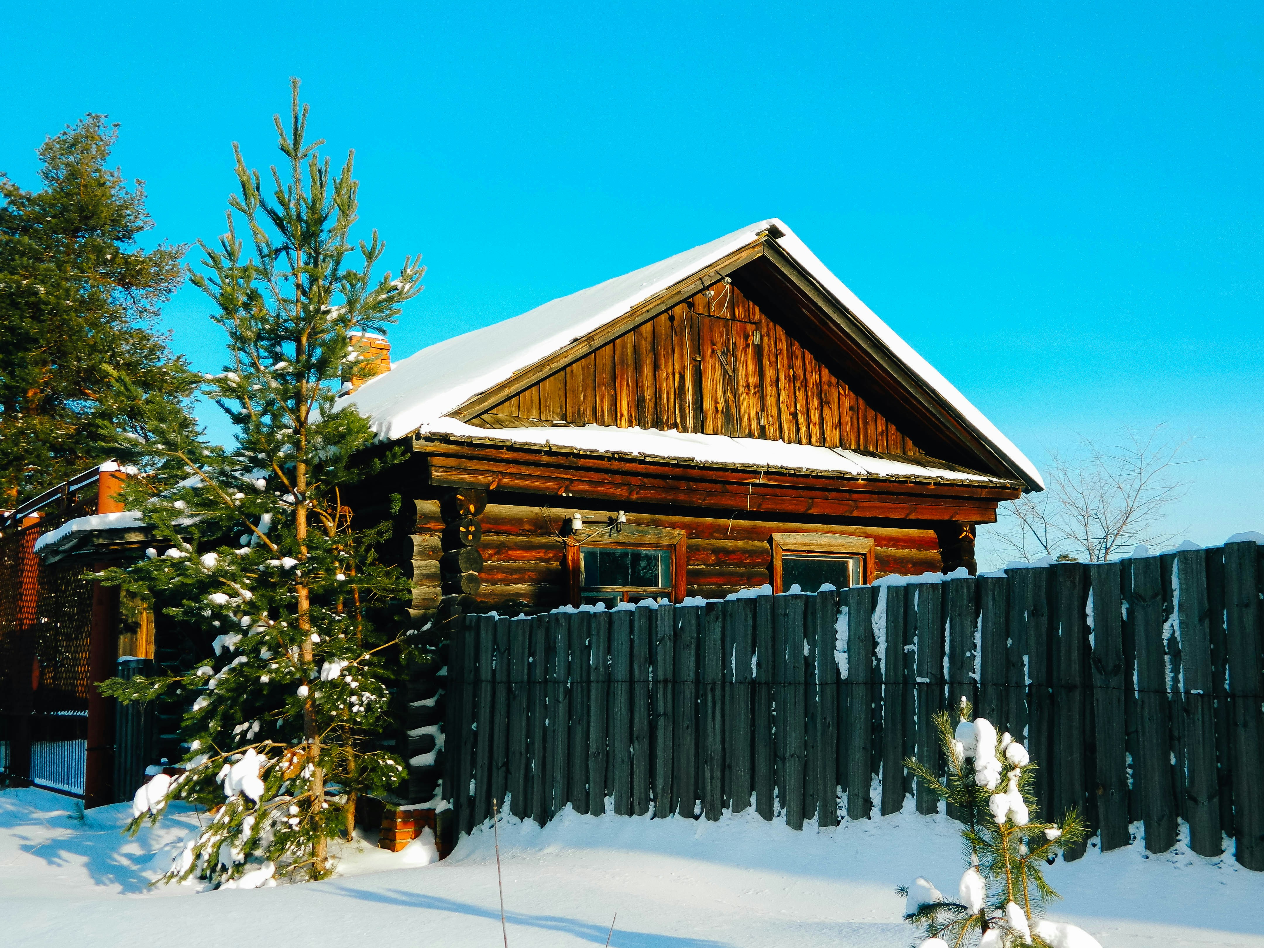 Charming wooden cabin nestled in a snowy landscape, surrounded by evergreen trees and a rustic fence. The clear blue sky adds to the serene ambiance.