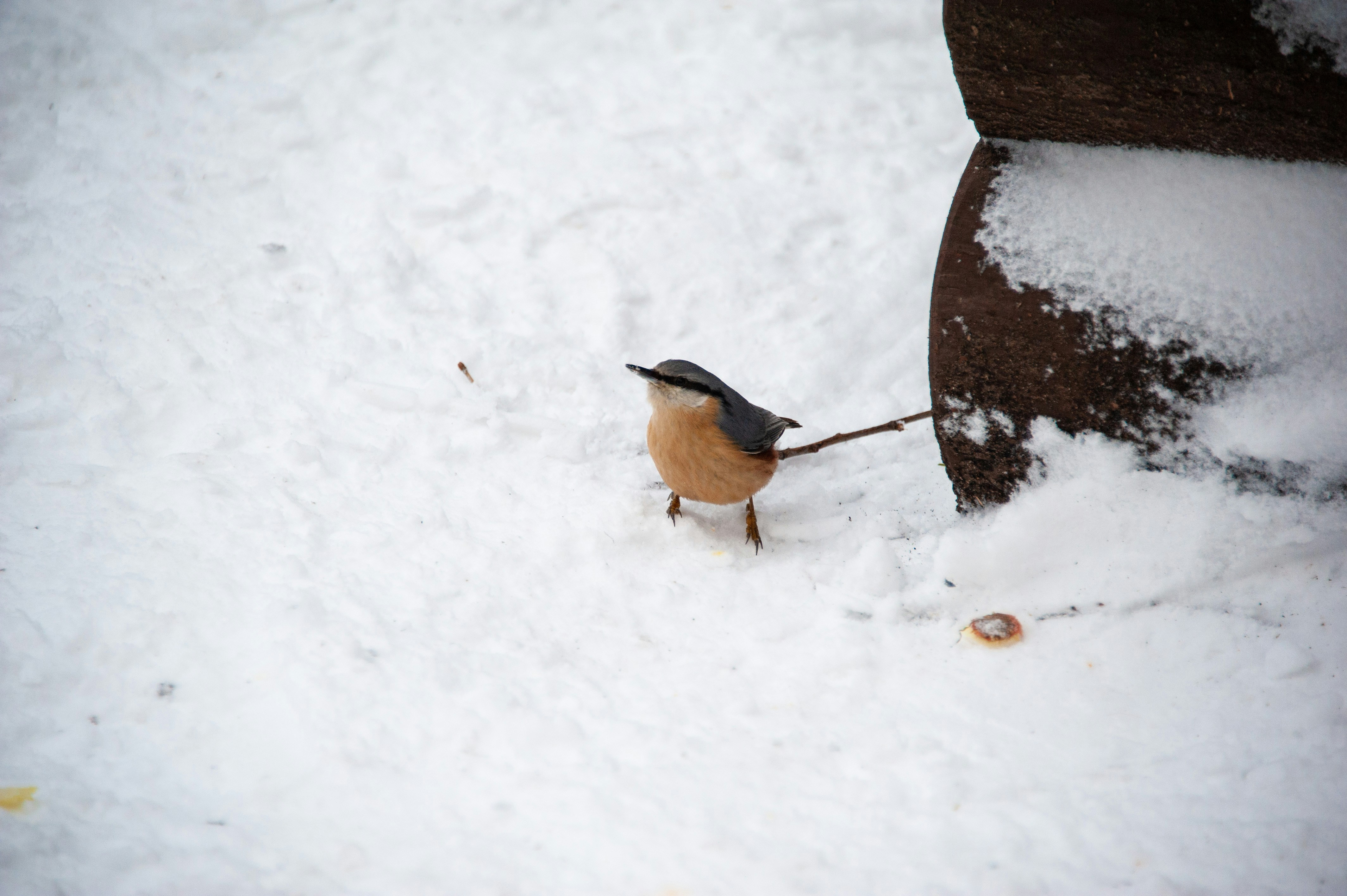 Photo by Richard Wang with Nikon D700