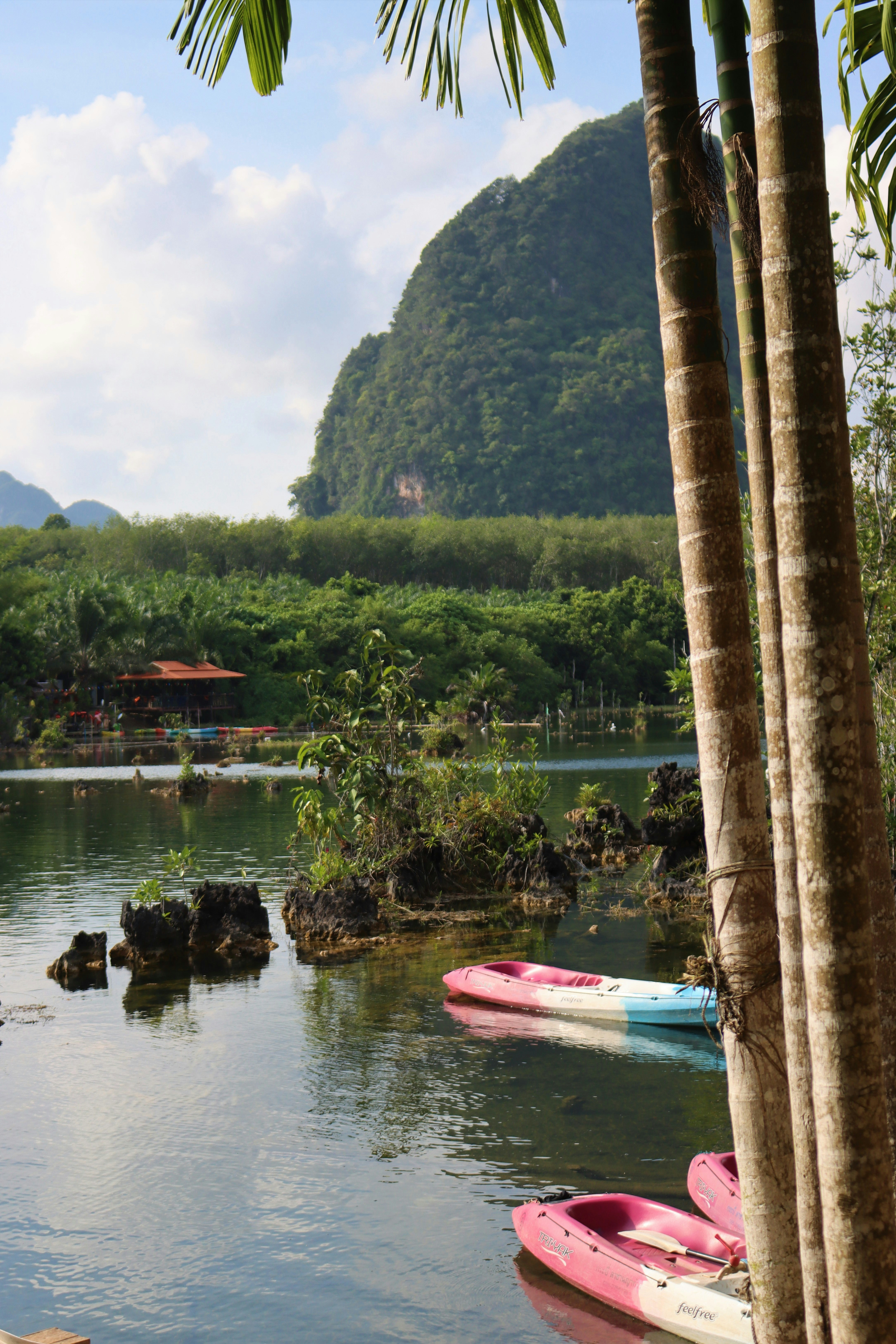 Daniela Chintoiu (@morphotography) | Communauté photos Unsplash