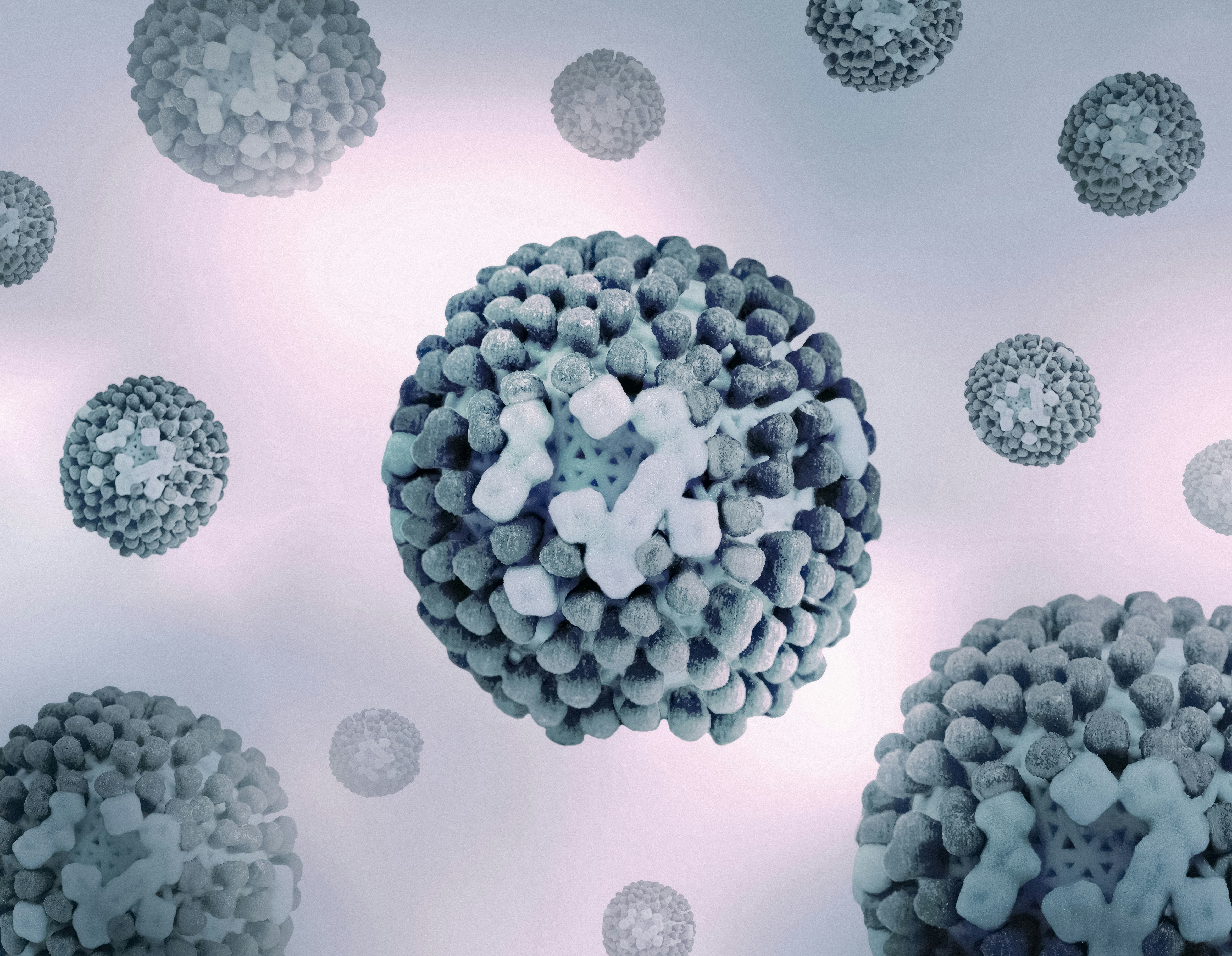 A close up of a bunch of balls of stuff photo – Free Virus Image on ...
