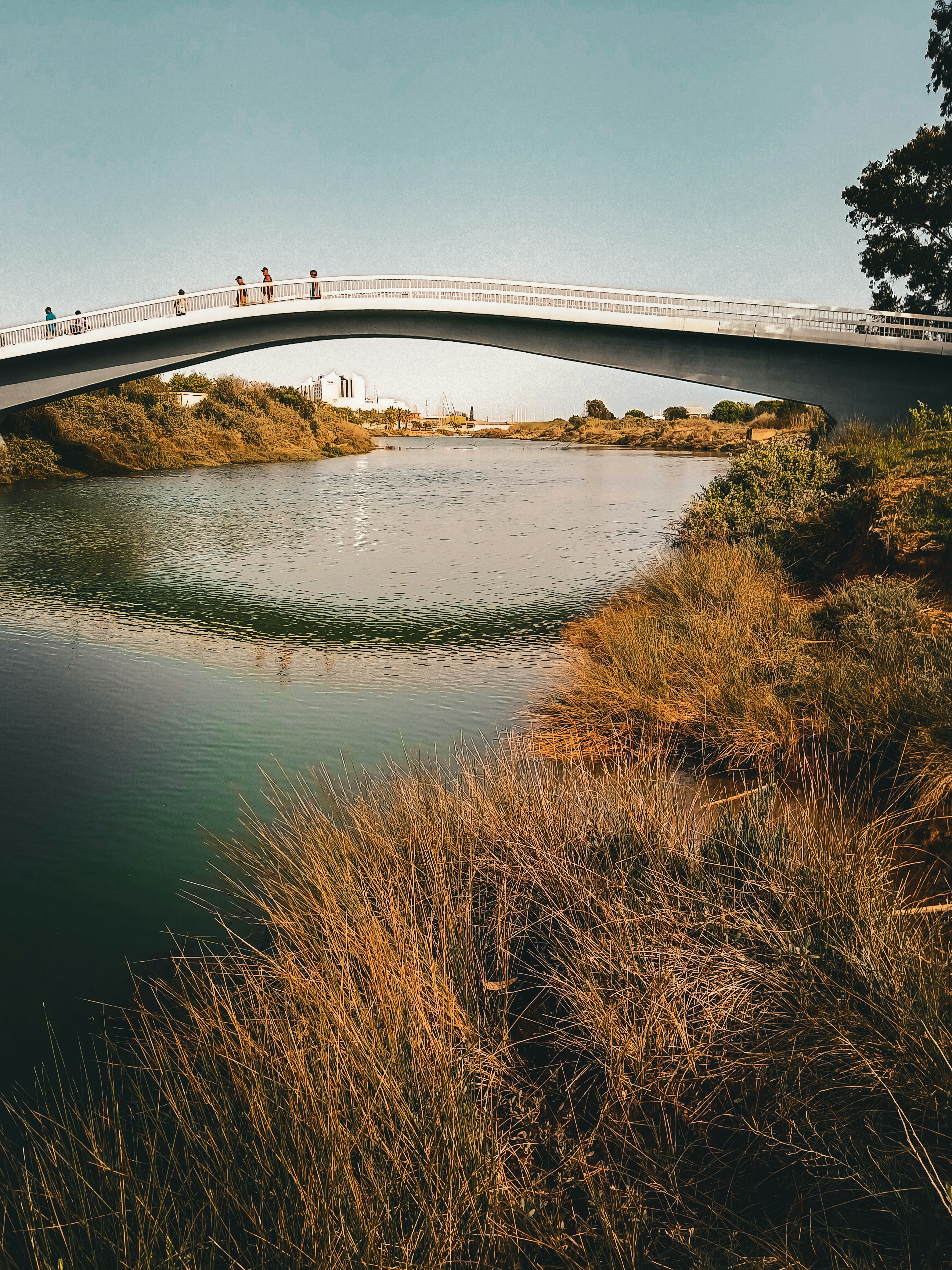 a bridge over a body of water with people walking on it